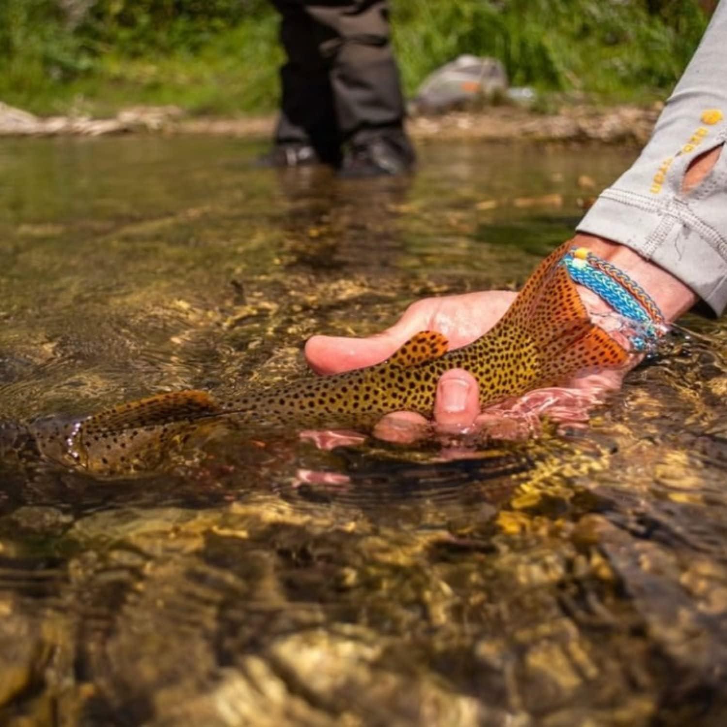 RIO Mainstream Trout Full Sinking Fly Line - Easy Casting 5wt Brown ...