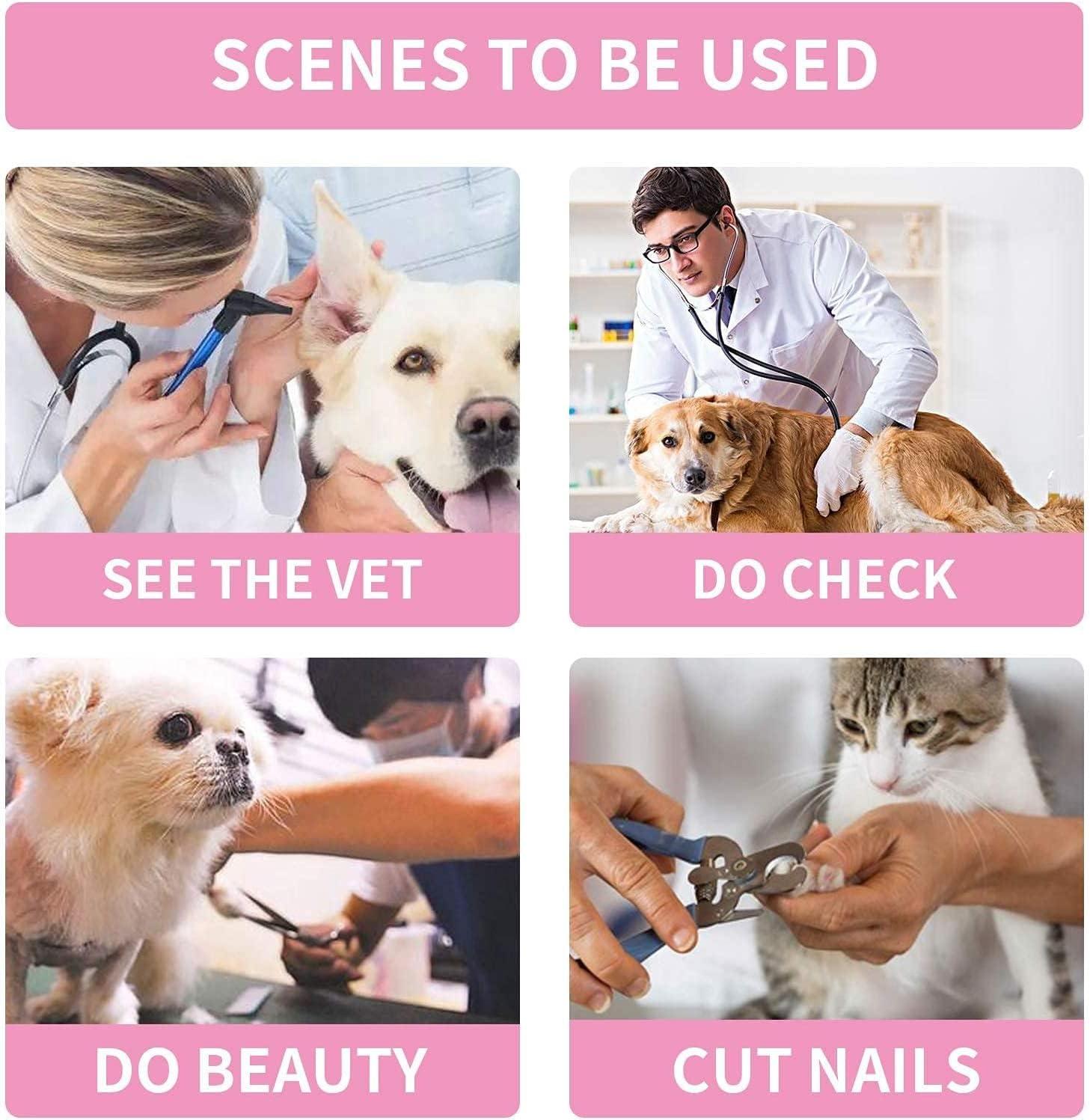 Ducomi Inflatable Hinges for Dogs & Cats - Post-Op Relaxation Freedom ...