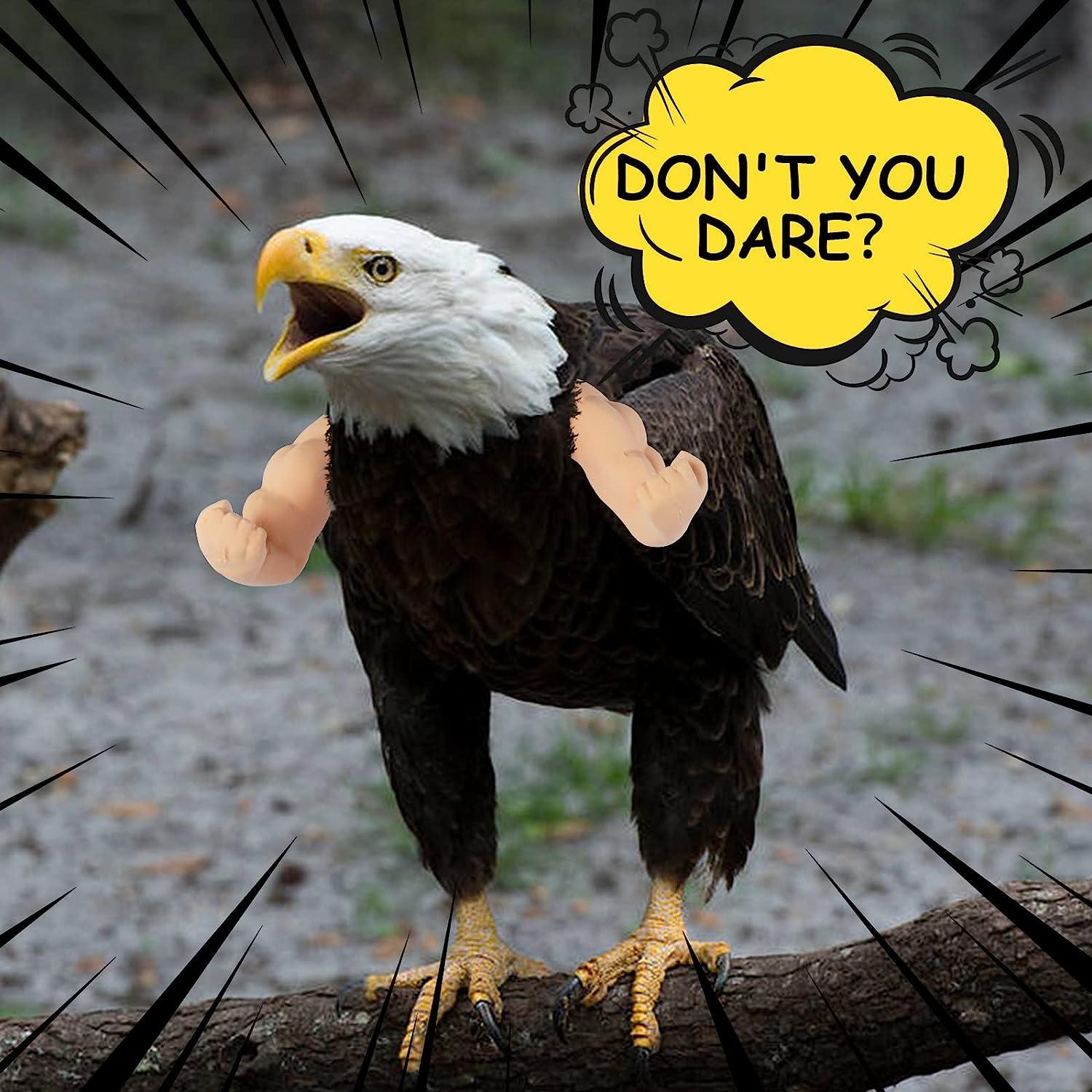FUAMEY Muscle Chicken Arms Toys for Chickens to Wear Funny Costume Fist ...