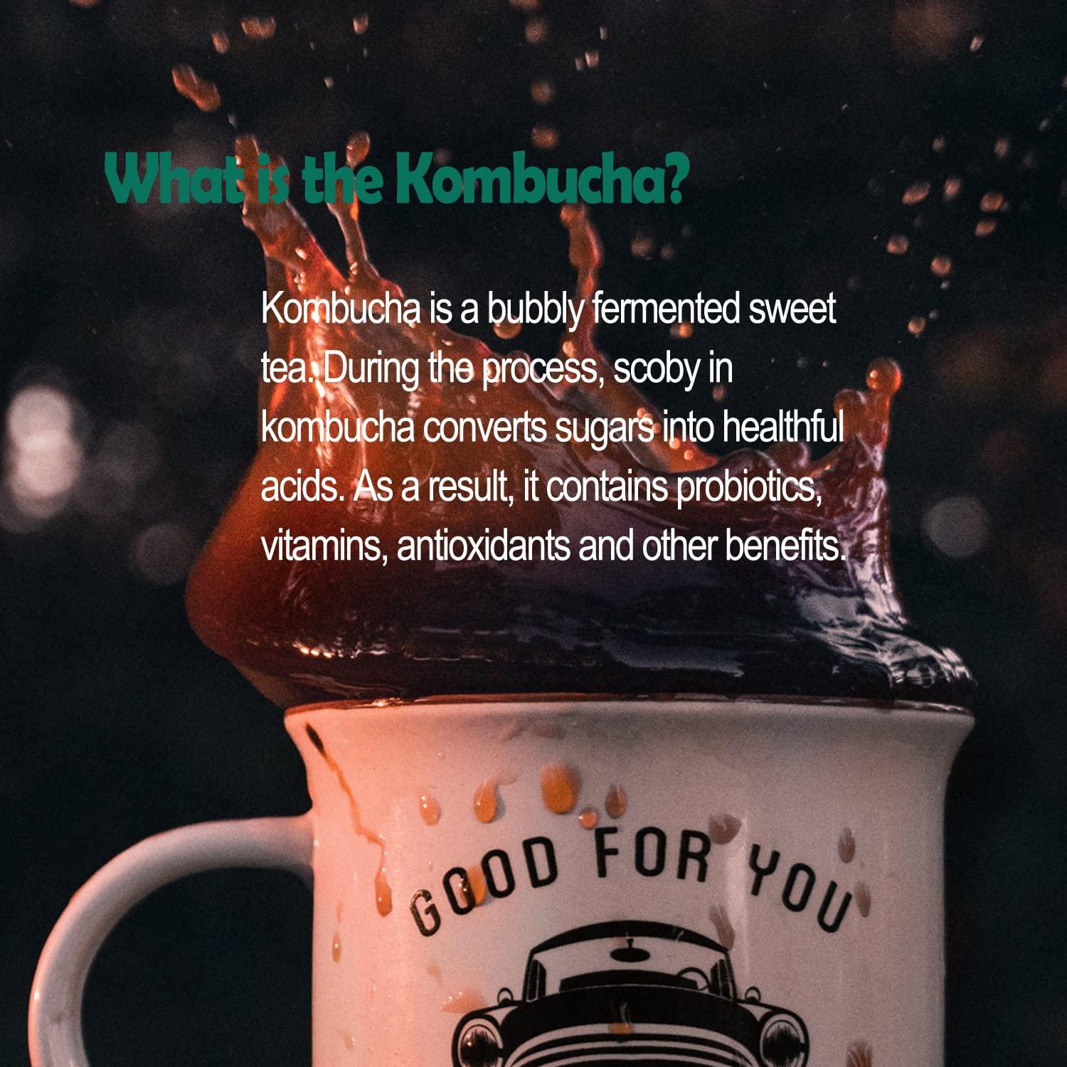 LITE SUPPLY Kombucha Tea Powder Sticks - Lemon Ginger Probiotic Drink ...