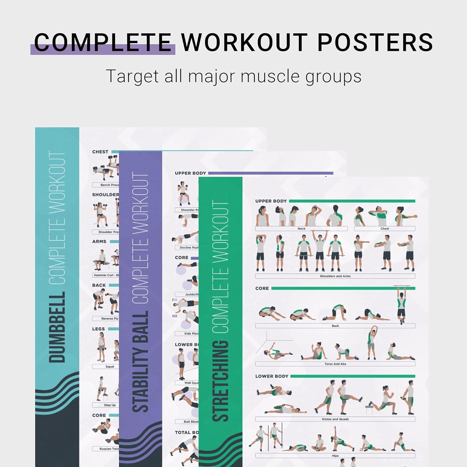 Postermate Professional Fitness Posters - 8 Set (51 x 76 cm) | Diverse ...