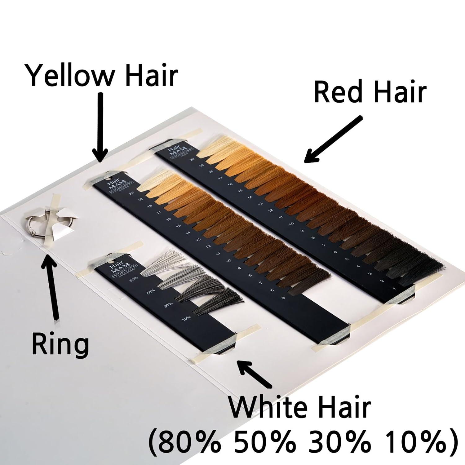 Hair Level Scale Chart Set | Optimize Hair Brightness for Salons ...
