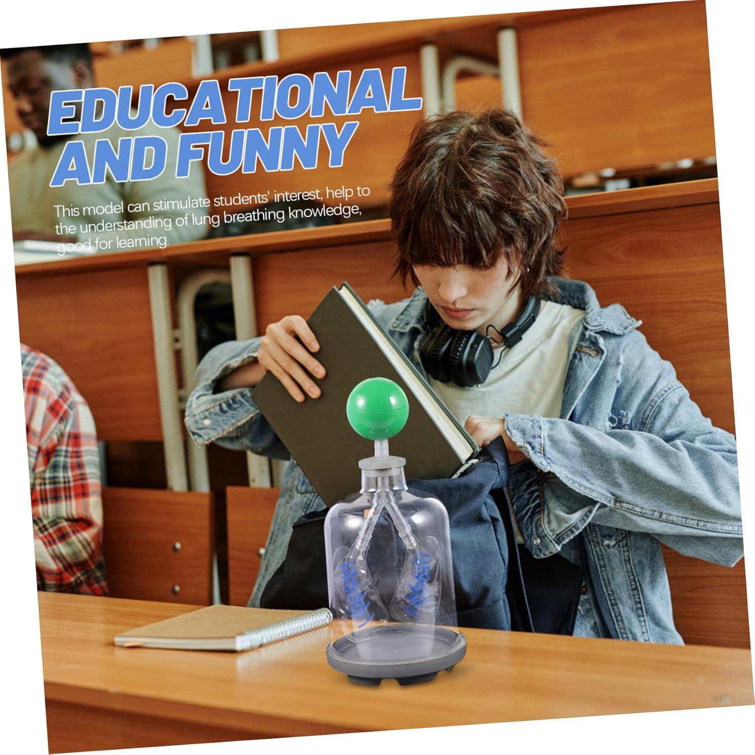 Buy Healvian Lung Breathing Model - Educational Human Body Organs ...