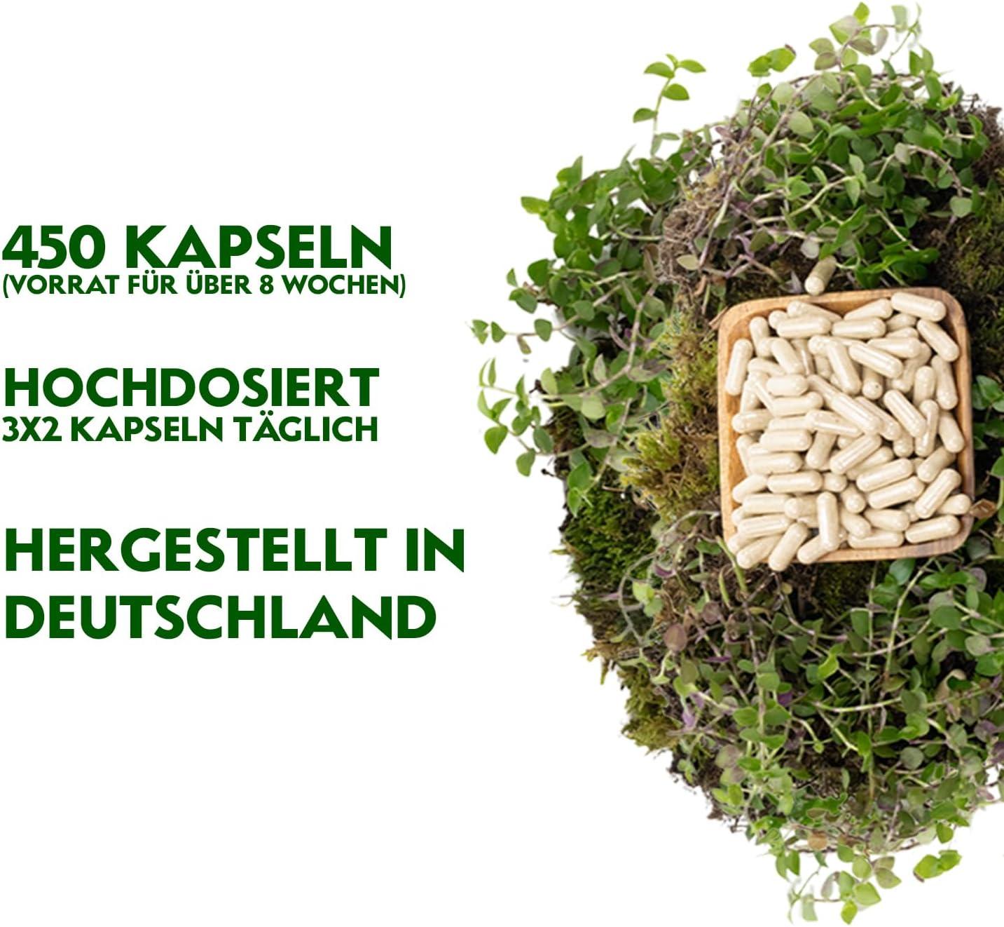 Rheinnatur Psyllium Capsules 450 pcs - High Dose Fiber for Digestion ...