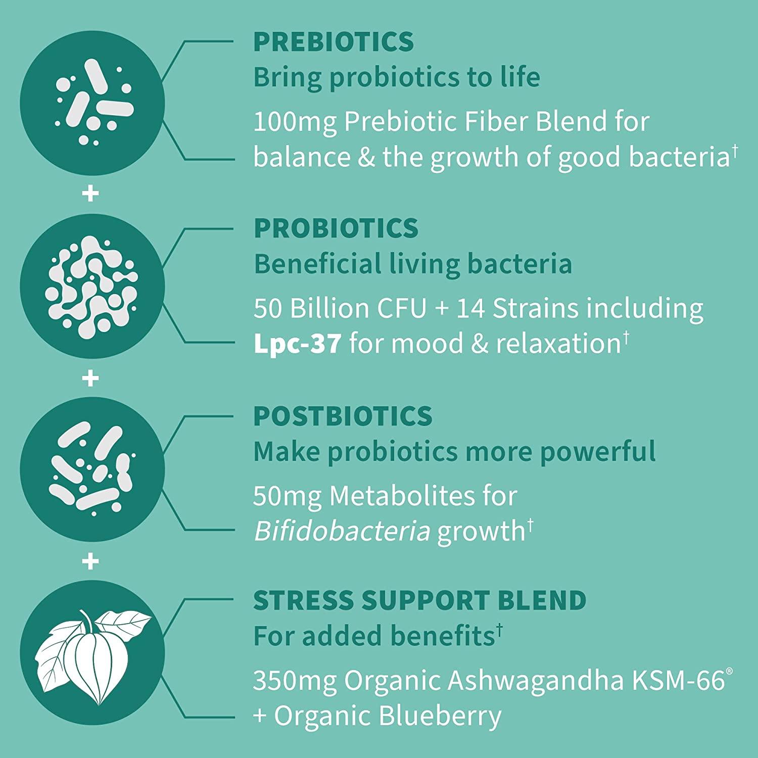 Dr. Formulated Calm 3-in-1 Probiotics with Ashwagandha - Immune ...