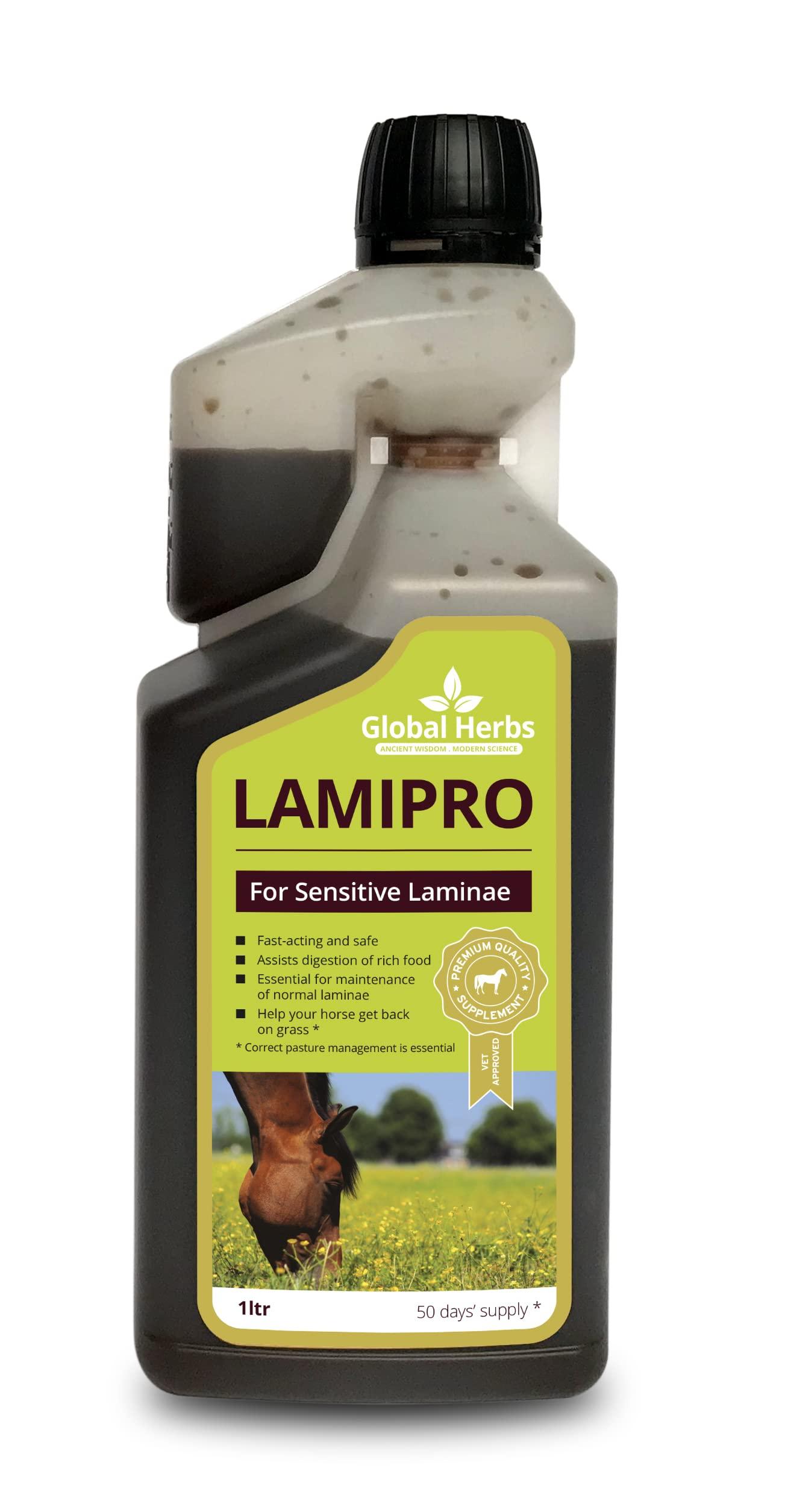 LamiPro Supplement Liquid by Global Herbs (1 Litre) 1 l (Pack of 1 ...