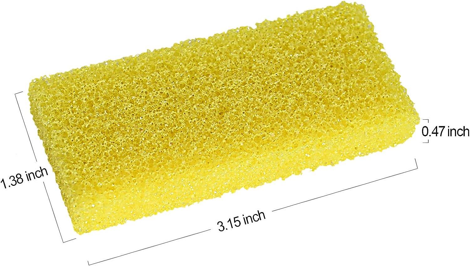 foot sponge