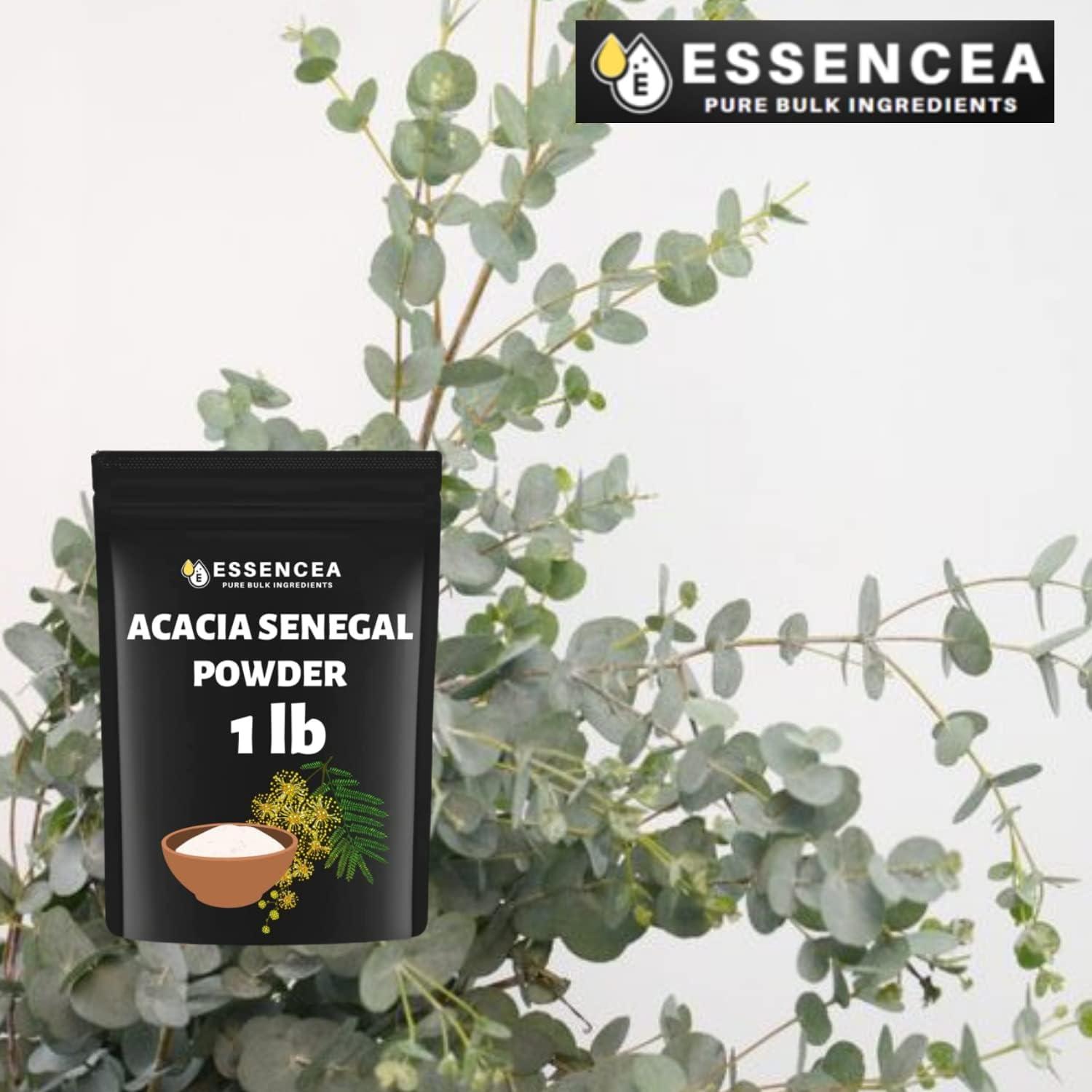 Essencea Acacia Senegal Powder 1lb - Pure Rich Fiber Soluble Powder ...