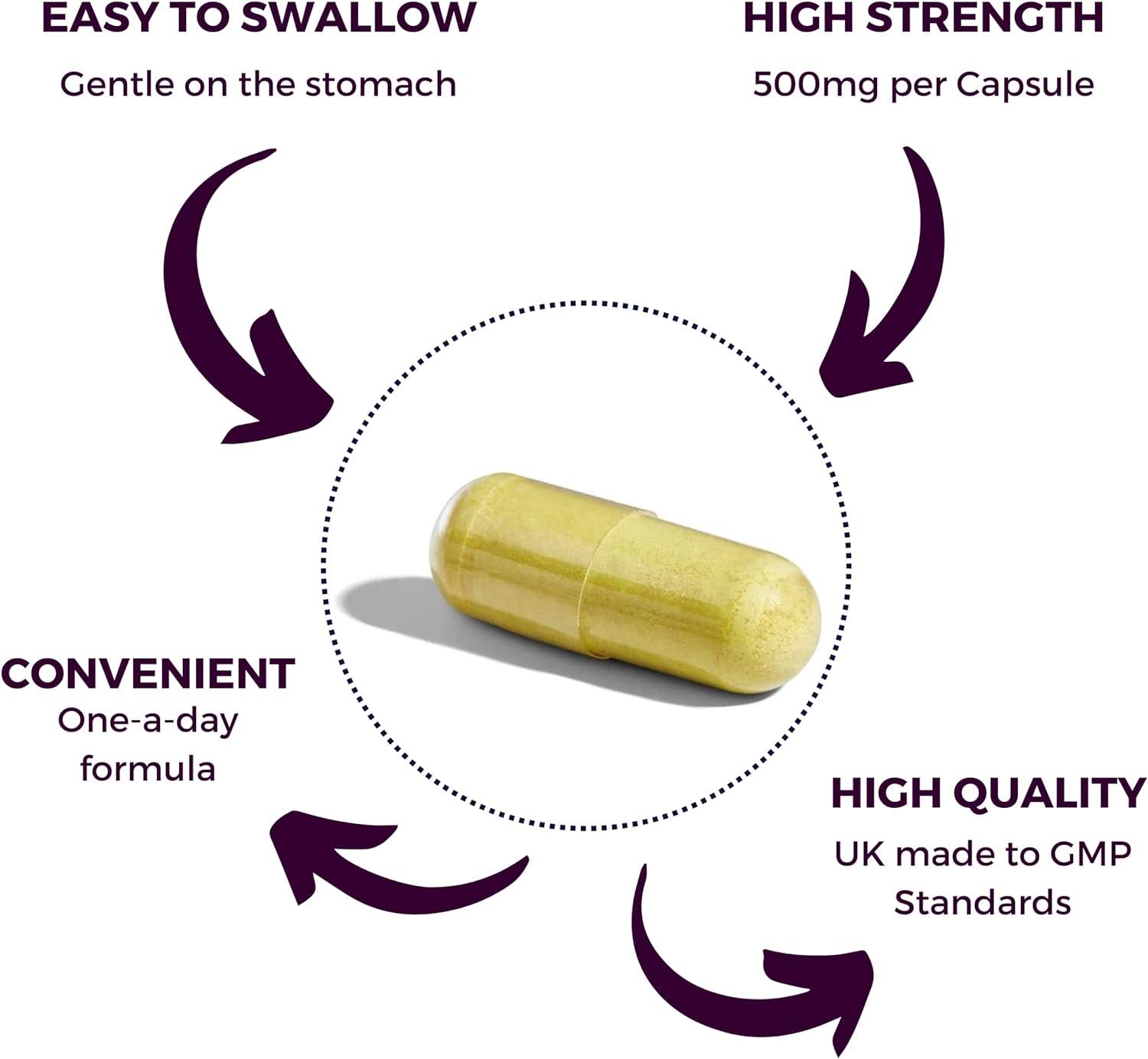 Quercetin 500mg High Strength Antioxidant Immune Support Supplement ...