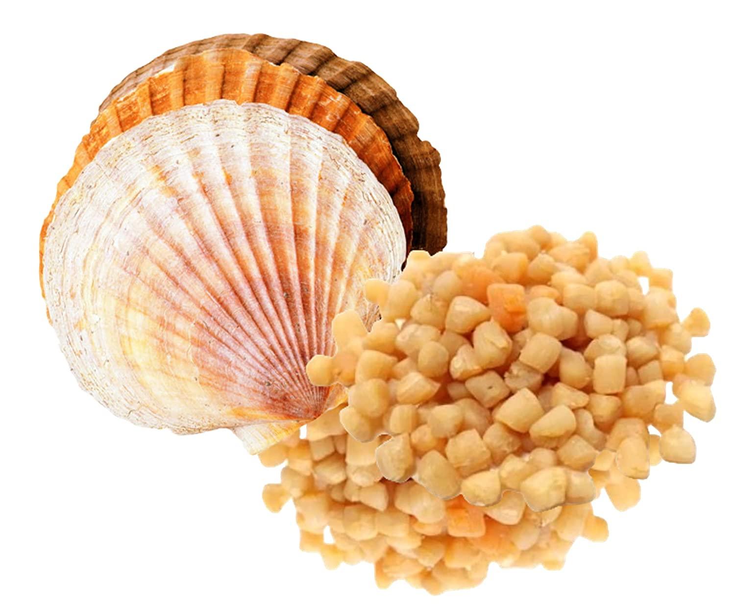 Mini Small Sun Dried Scallops Conpoy Seafood 3.2 oz. - Perfect for Soup ...