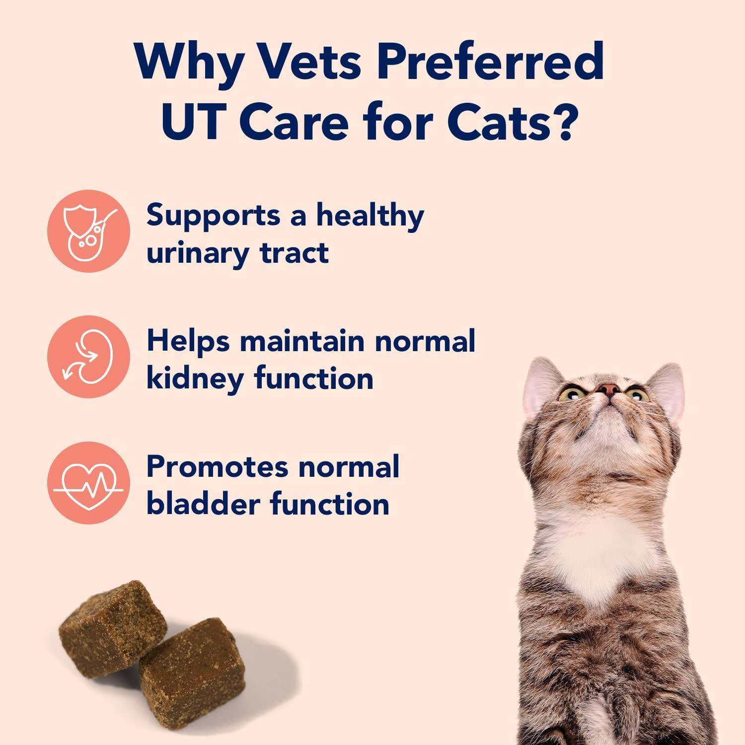 Vets Preferred Cat Urinary Tract Chews | UT Care Health Soft Chews ...