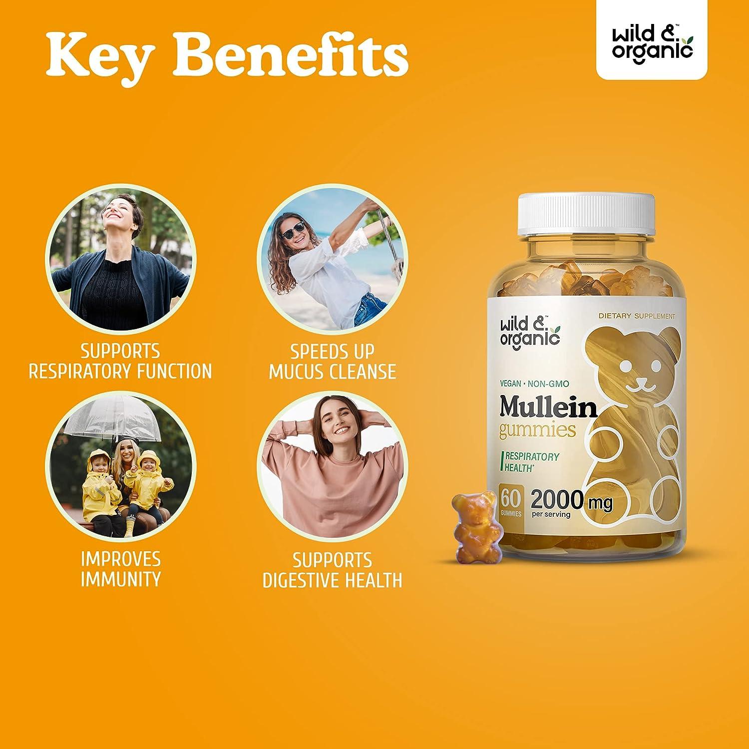 Organic Mullein Gummies - Respiratory & Digestive Support - 2000mg 60 ...