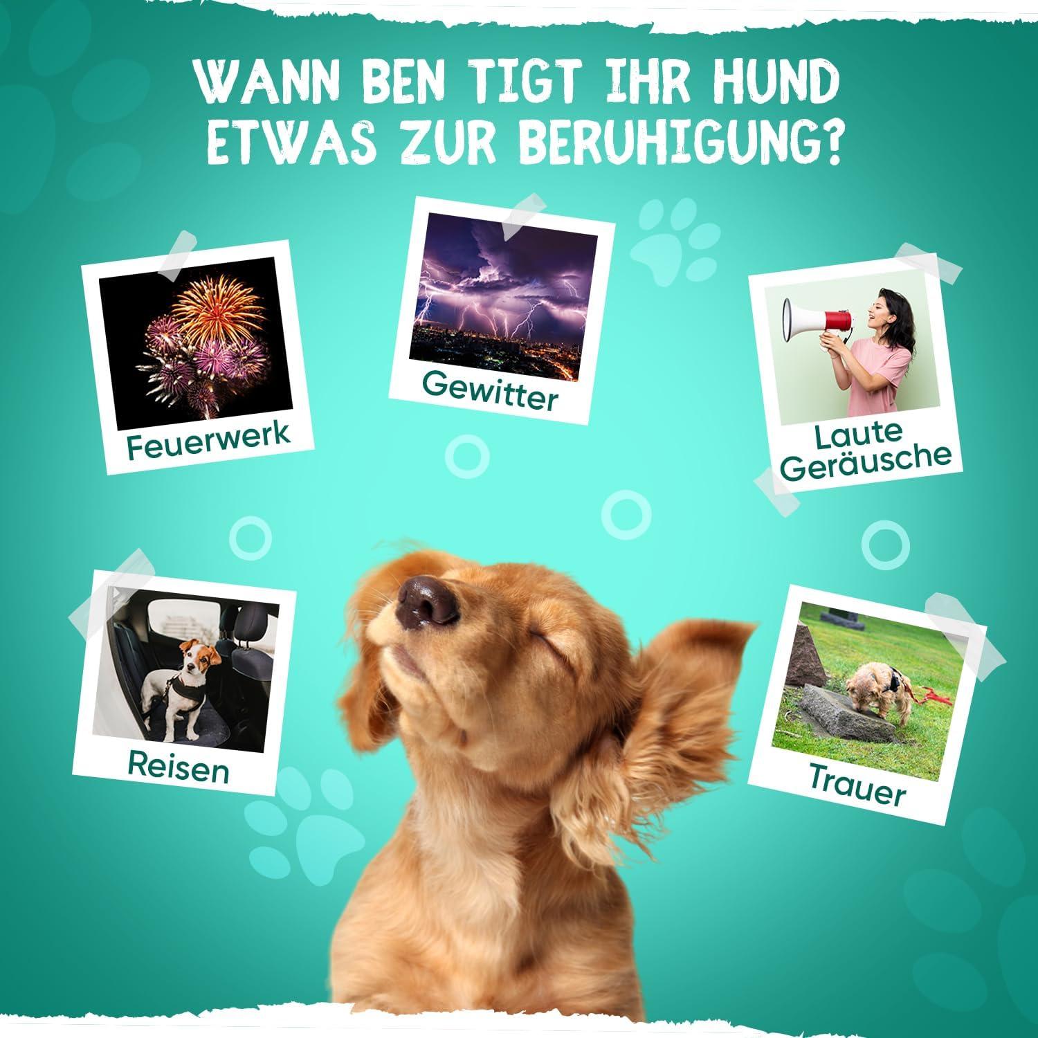 Animigo Sedative for Dogs - 120 Relaxation Capsules | Natural Calm with ...