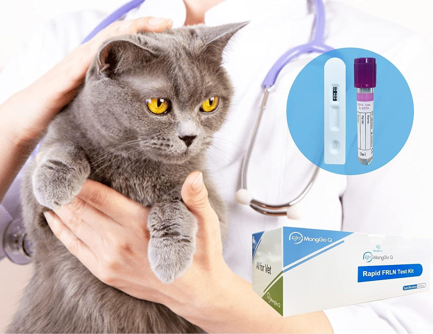 MONGGO Q Cat Pregnancy Test 10PCS | Feline RLN Early Pregnancy Test Kit ...