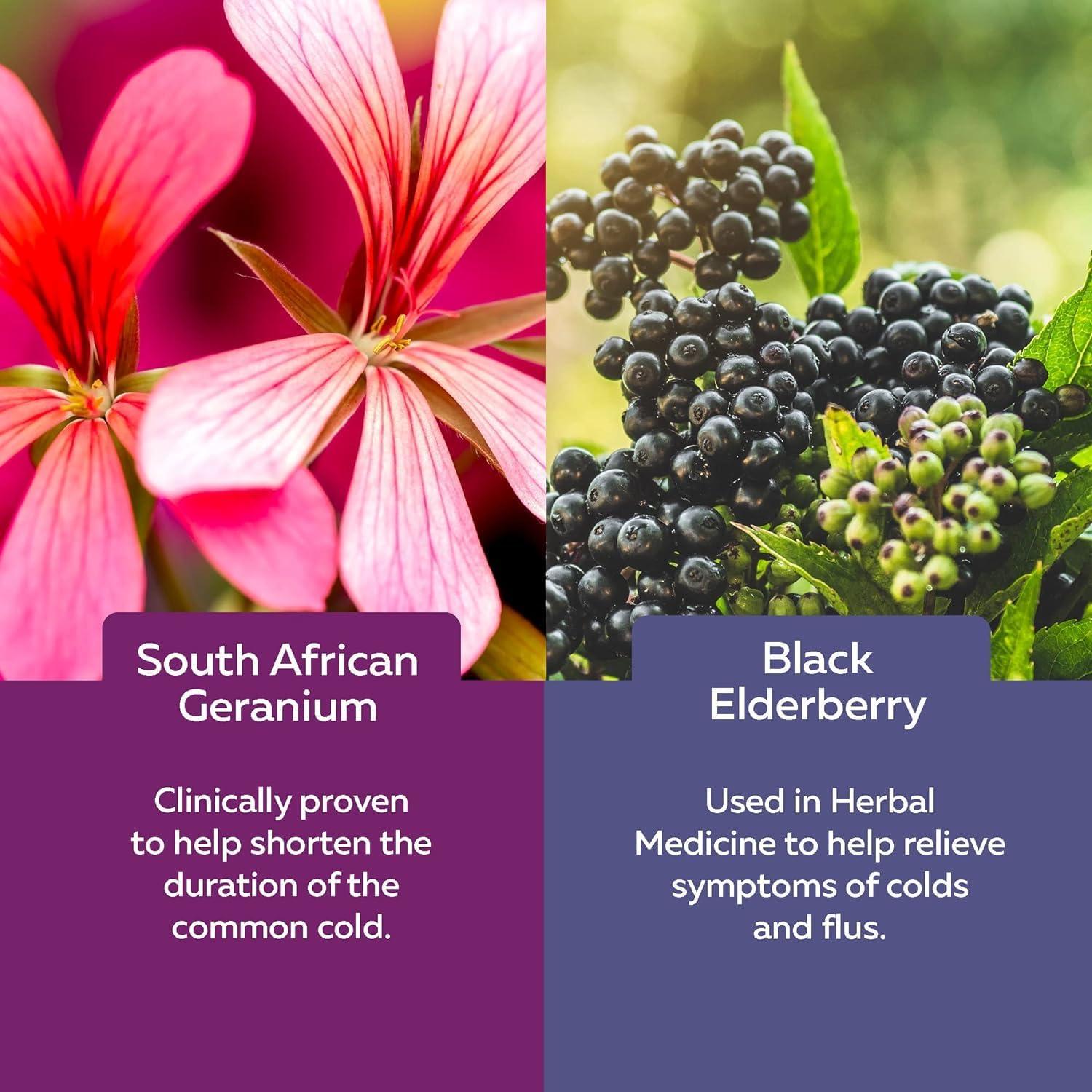 Nature's Way Sambucus Cold and Flu Relief Elderberry Gummies for Kids ...