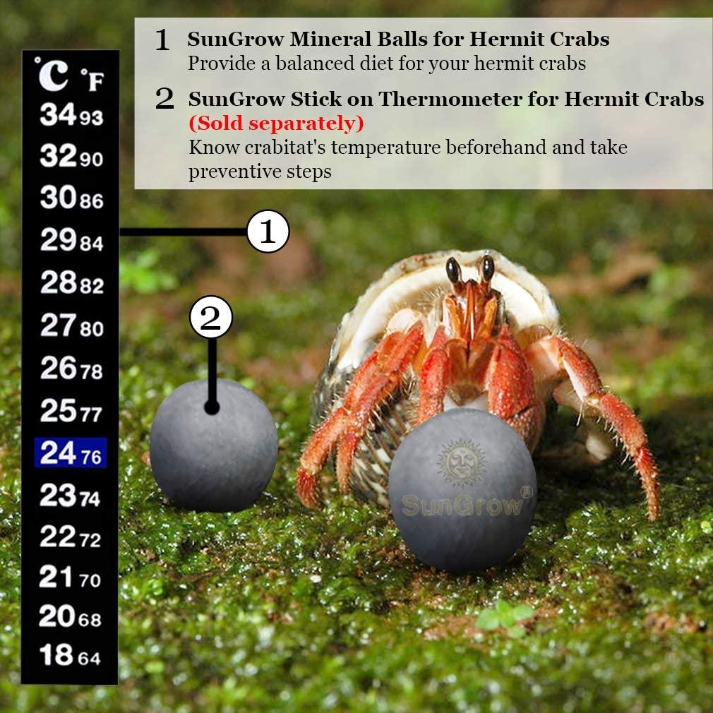 Sungrow 10 Hermit Crab & Crayfish Calcium Supplement Balls - 30 ...