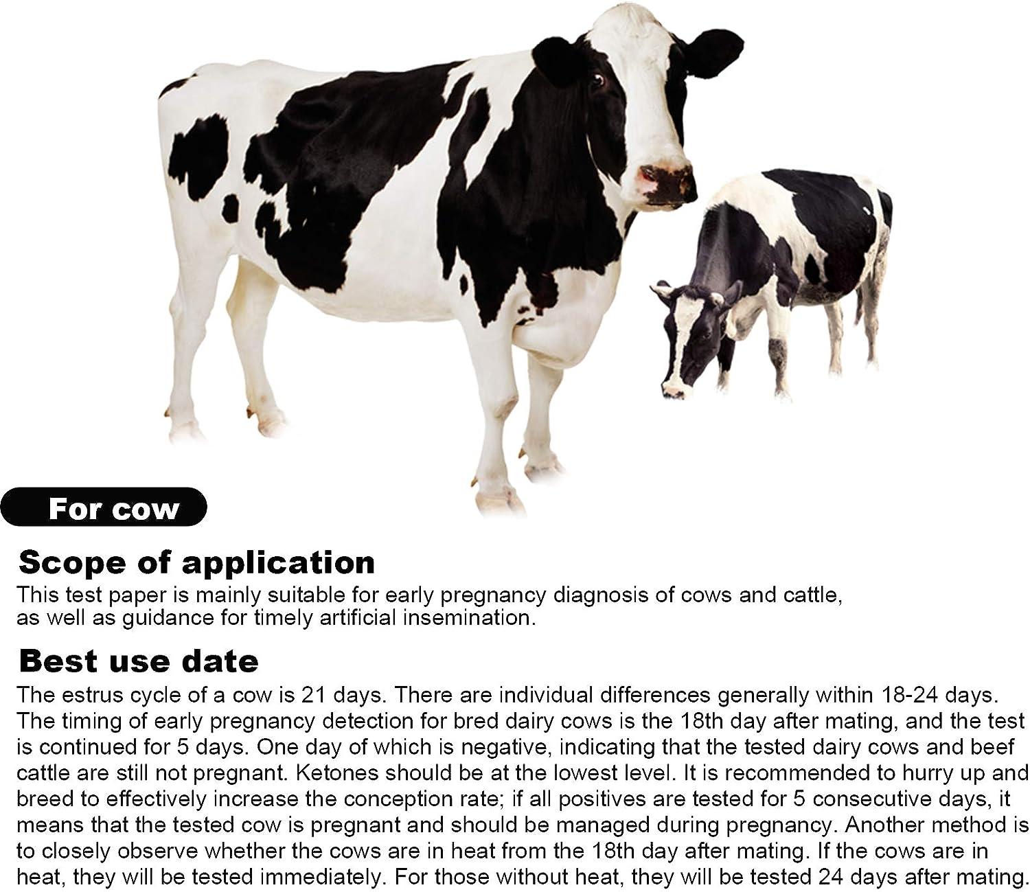 Pregnancy Test Paper 10pcs for Livestock - Early Diagnosis Tool for Pig ...