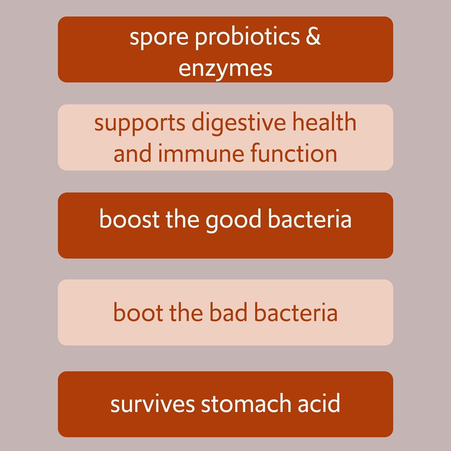 Bacillus B3 Probiotic Complex & Bioactive Enzymes - 100% Spore-Based ...