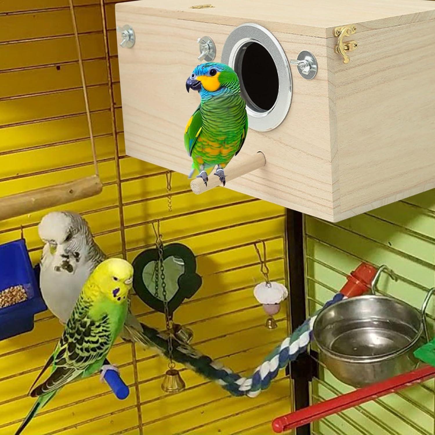 parakeet nesting boxes ideas