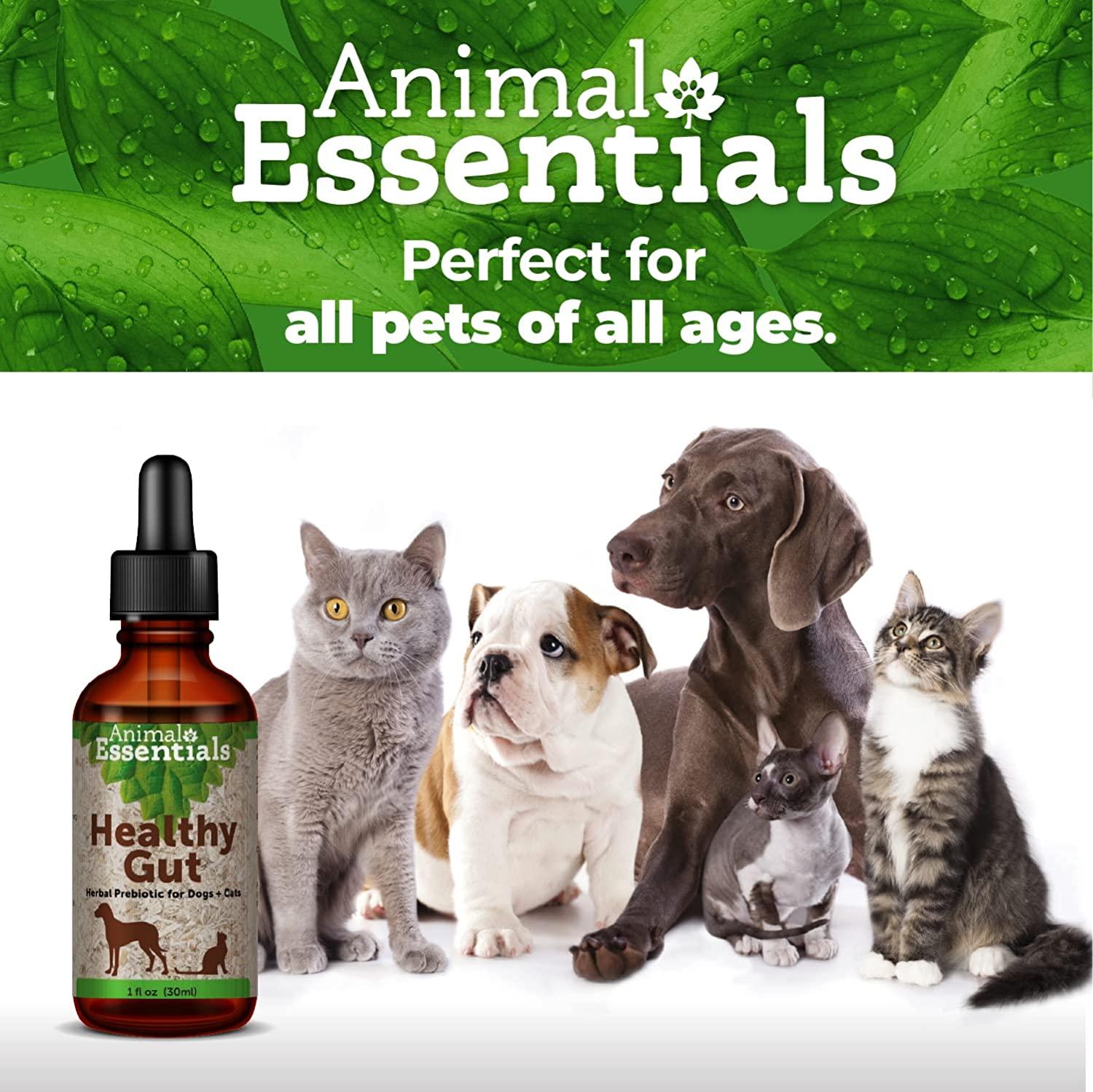 Animal Essentials Healthy Gut: Promote Digestive Health for Pets | Buy ...