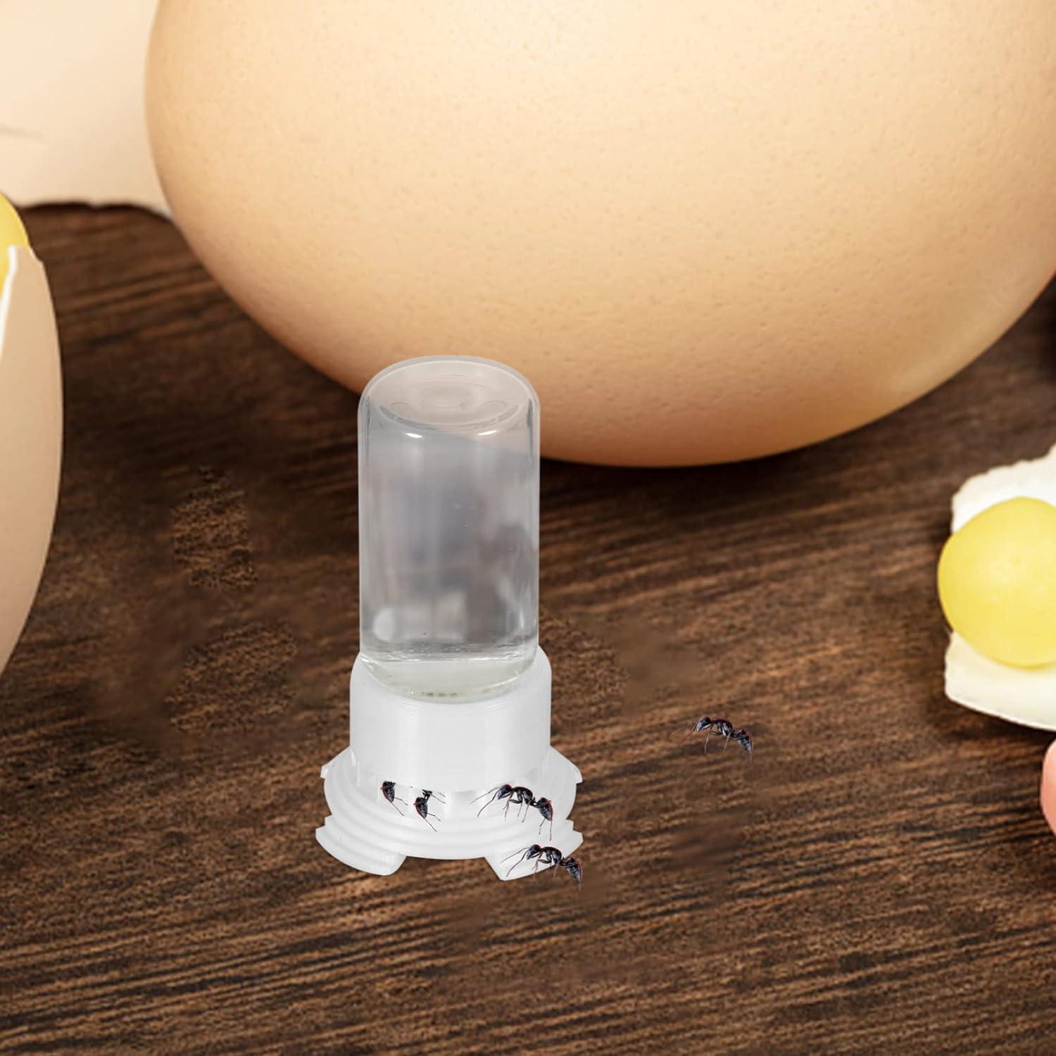 Yardwe Ant Water Feeders 2pcs Ant Mini Liquid Feeder Plastic ...