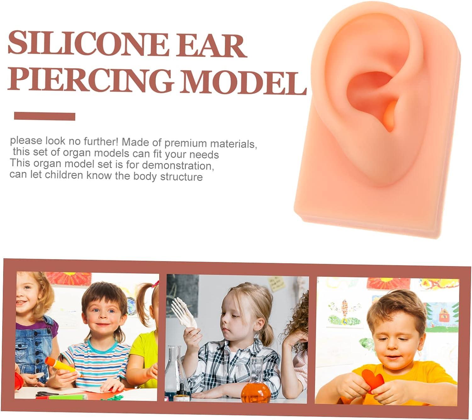 ULTECHNOVO Simulation Ear Model for Earring Display Practice - Khaki ...
