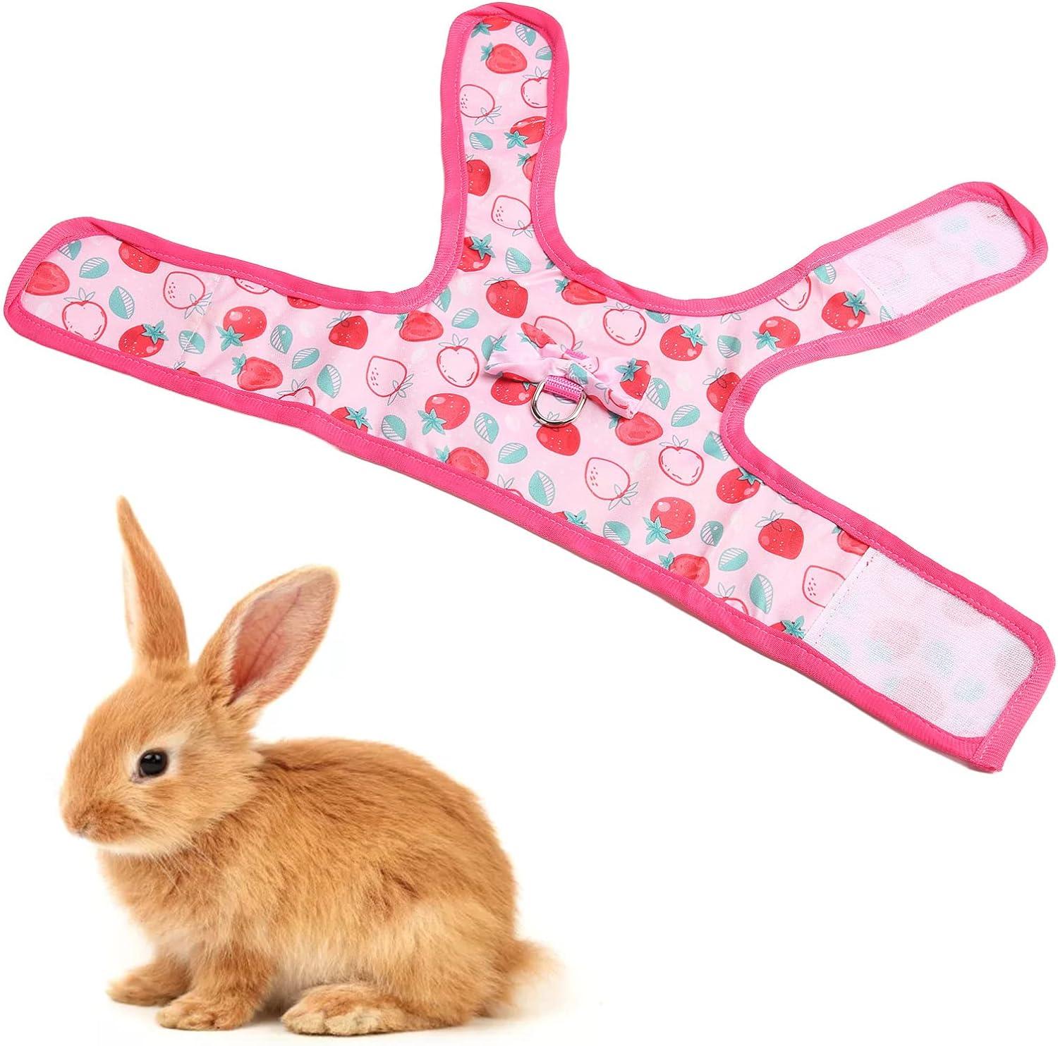 Soft Rabbit Harness with Lead for Rabbits & Guinea Pigs - Small Pet ...