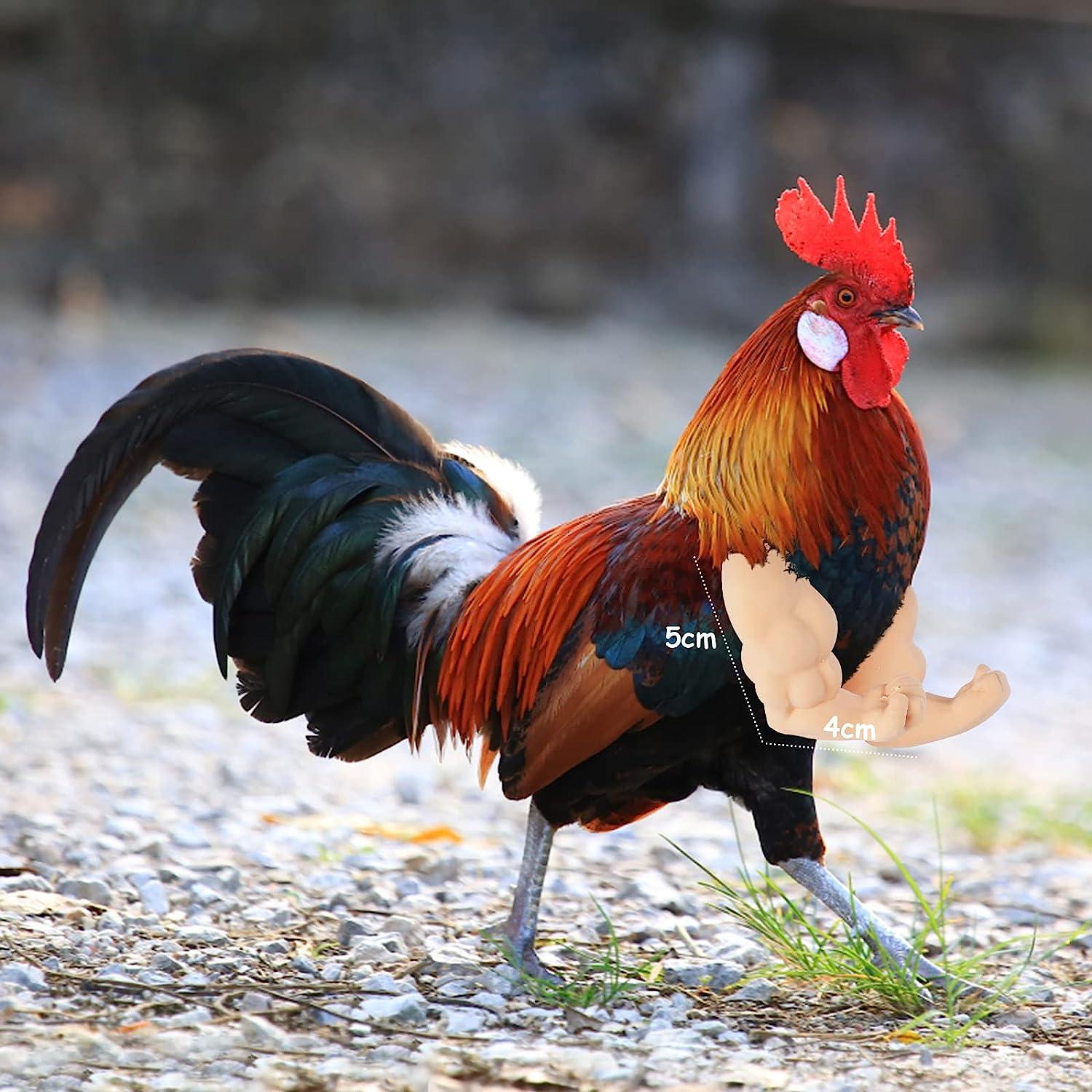 FUAMEY Muscle Chicken Arms Toys for Chickens to Wear Funny Costume Fist ...