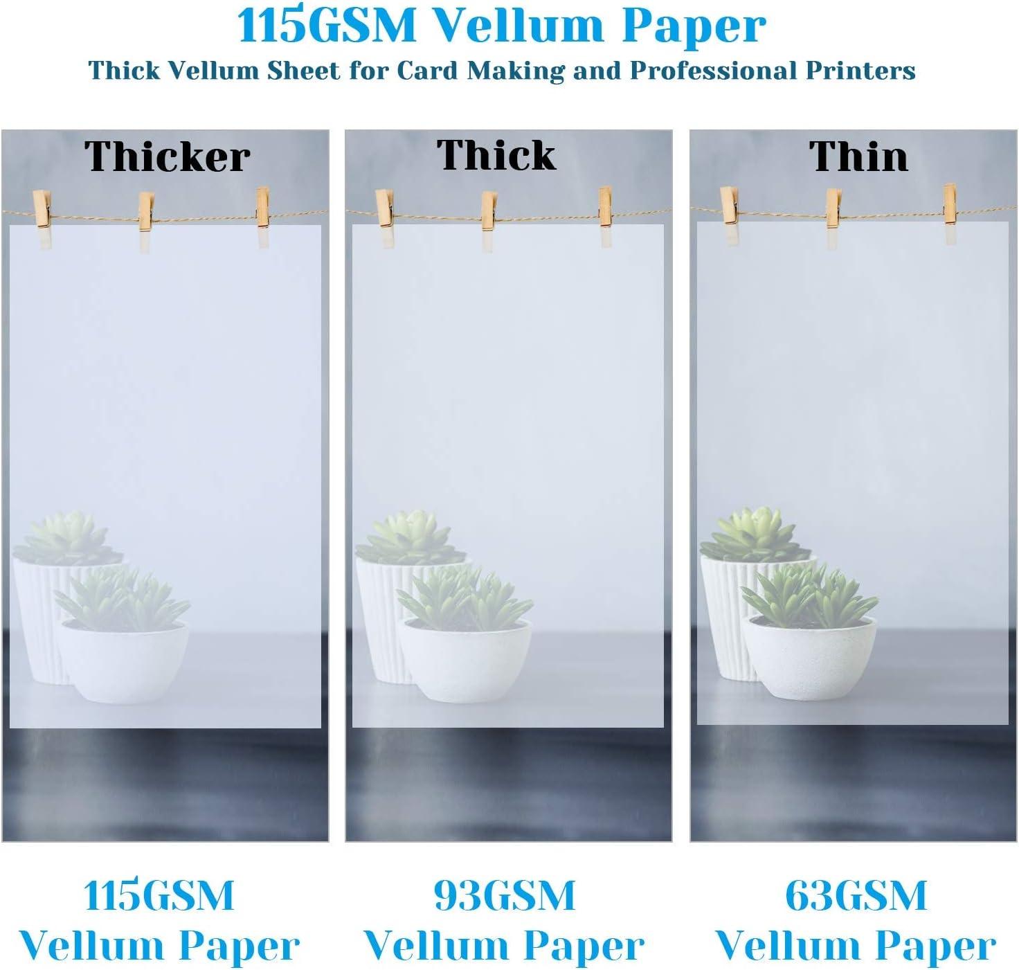 Cridoz 115GSM Transparent Vellum Paper 8.5 x 11 - Ideal for Printing ...
