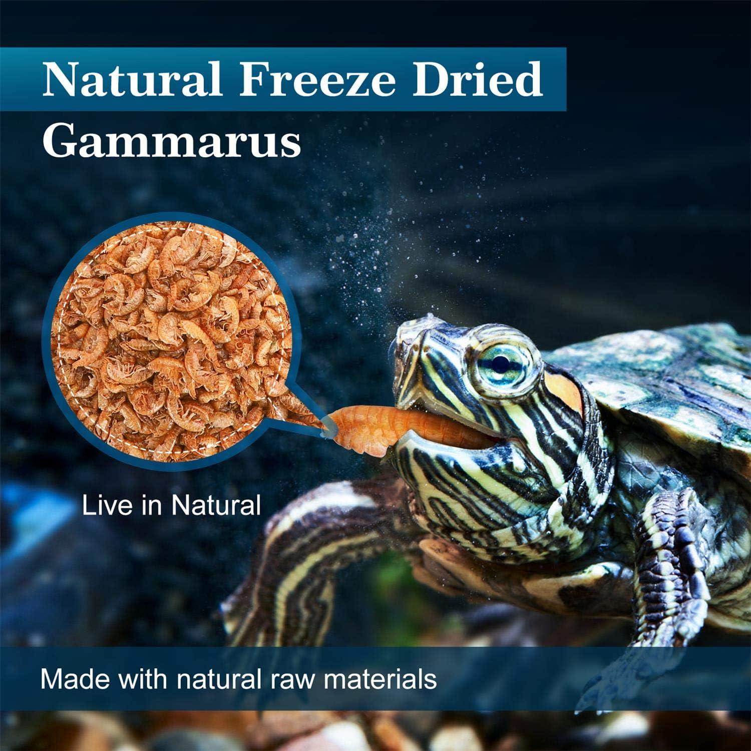 Nobleza Gammarus Turtle Food - High-Quality Natural River Shrimp (80g ...