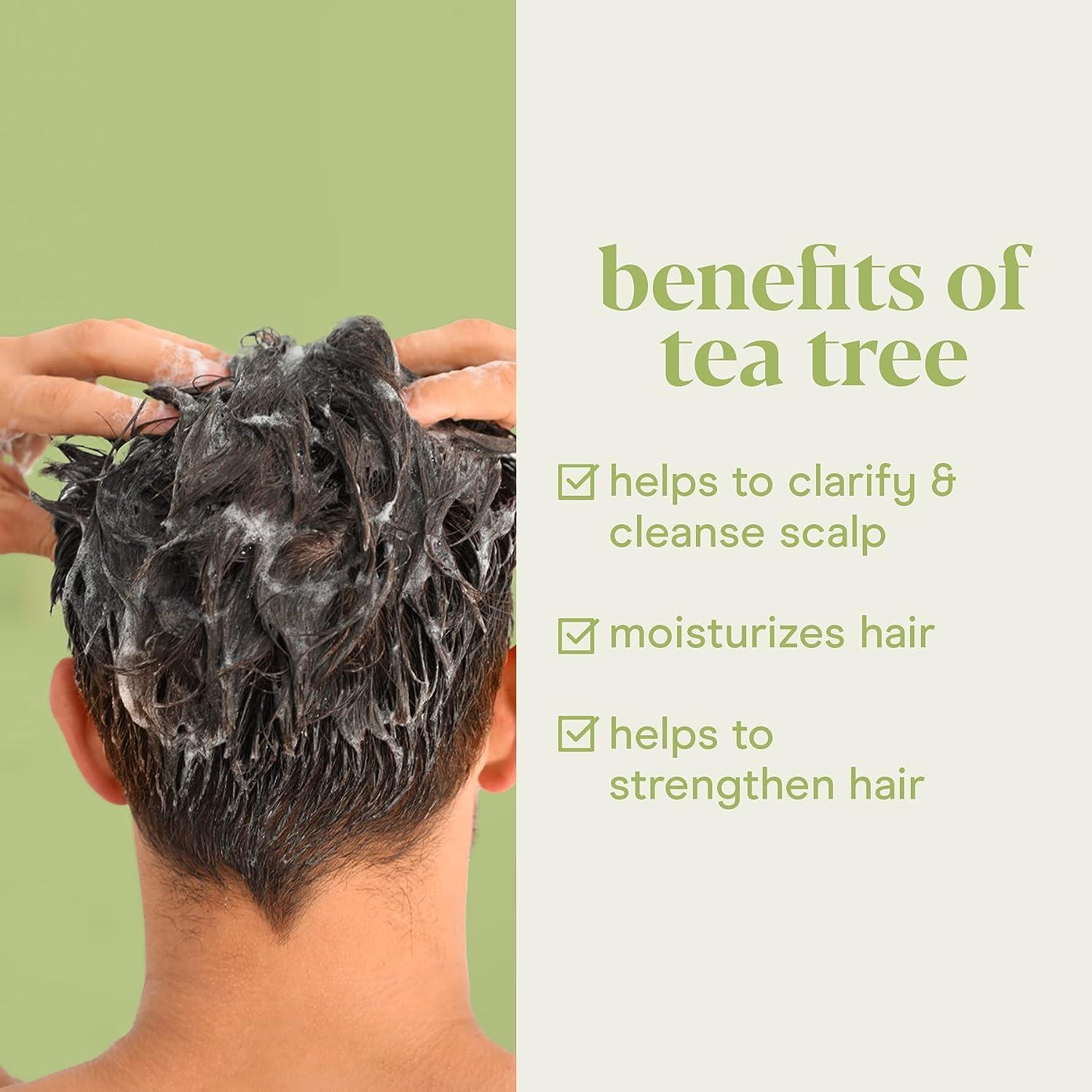 Baebody Tea Tree Oil Shampoo - Invigorating Tea Tree Shampoo for ...