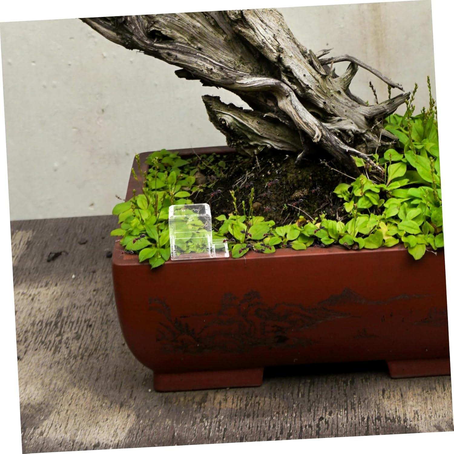 Kisangel Pet Water Feeder Insect Water Feeder Clear Ants Feeder Ants ...