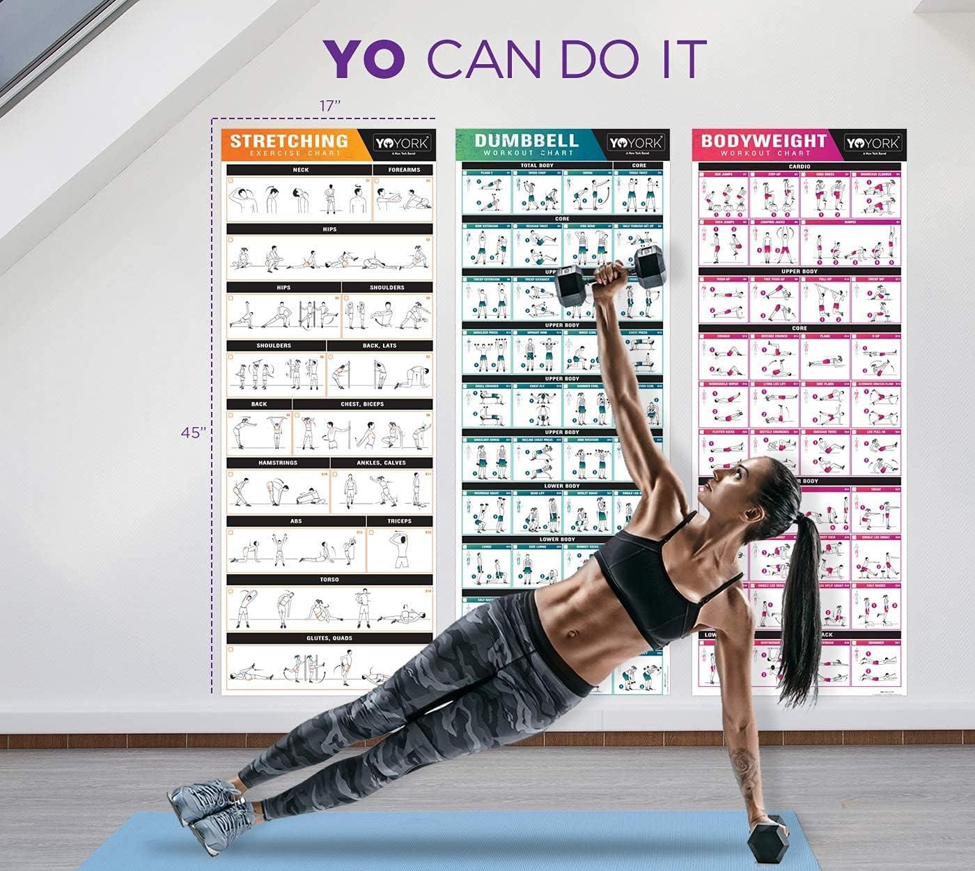 YoYork Stretching & Bodyweight Training Exercise Posters - Home Gym ...