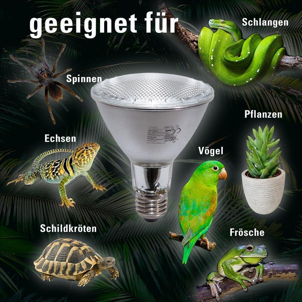 Buy SOLAR RAPTOR UV Halogen Spot 75W - Reptile Heat Lamp & Daylight ...