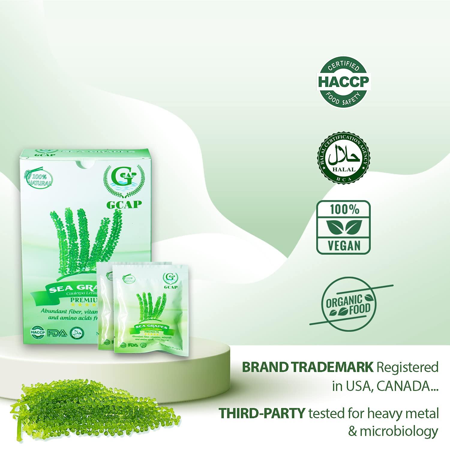 Premium GCAP Sea Grapes: Dehydrated Umibudo Green Caviar Lato Seaweed ...