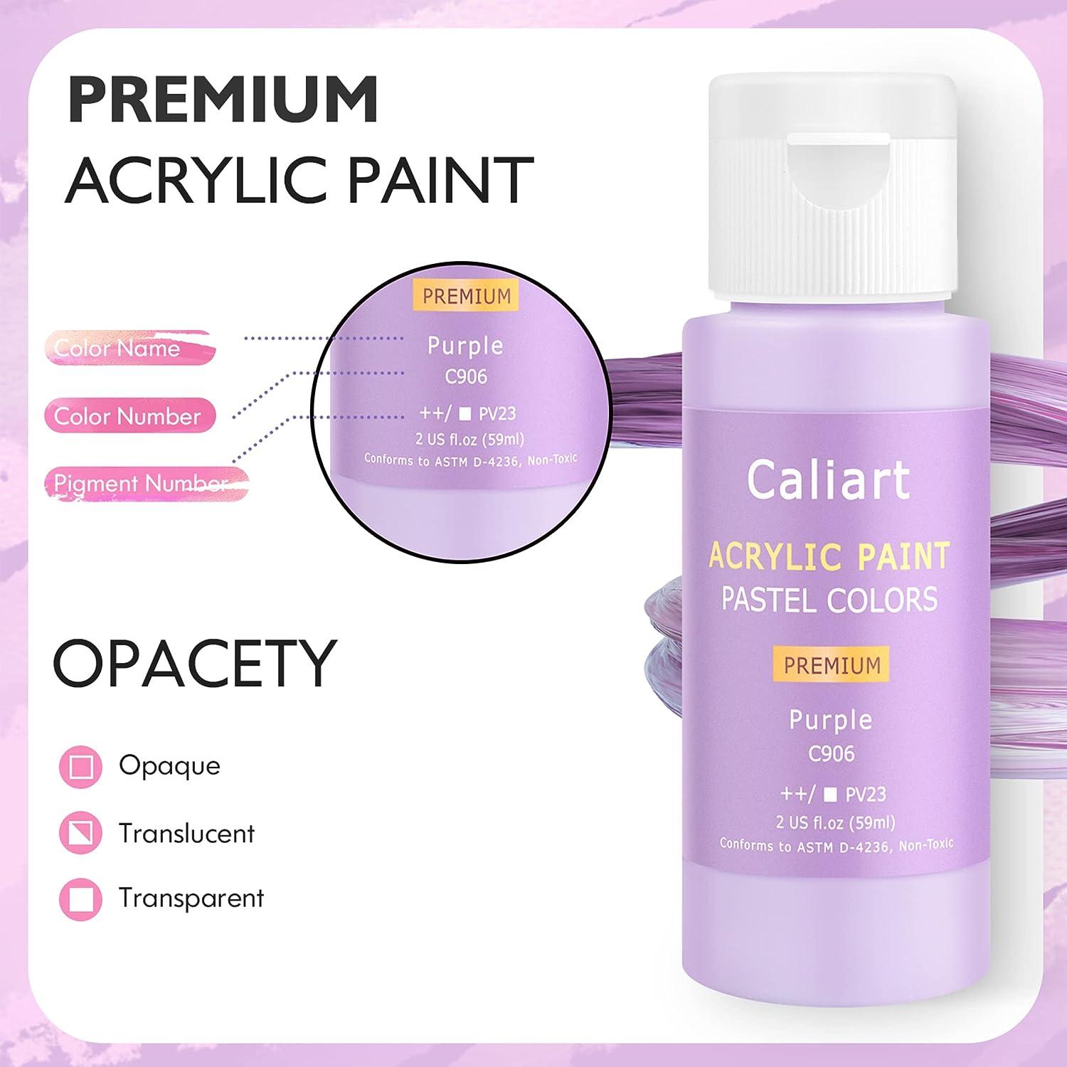 Caliart Pastel Acrylic Paint Set with 12 Brushes - 24 Colors (59ml/2oz ...