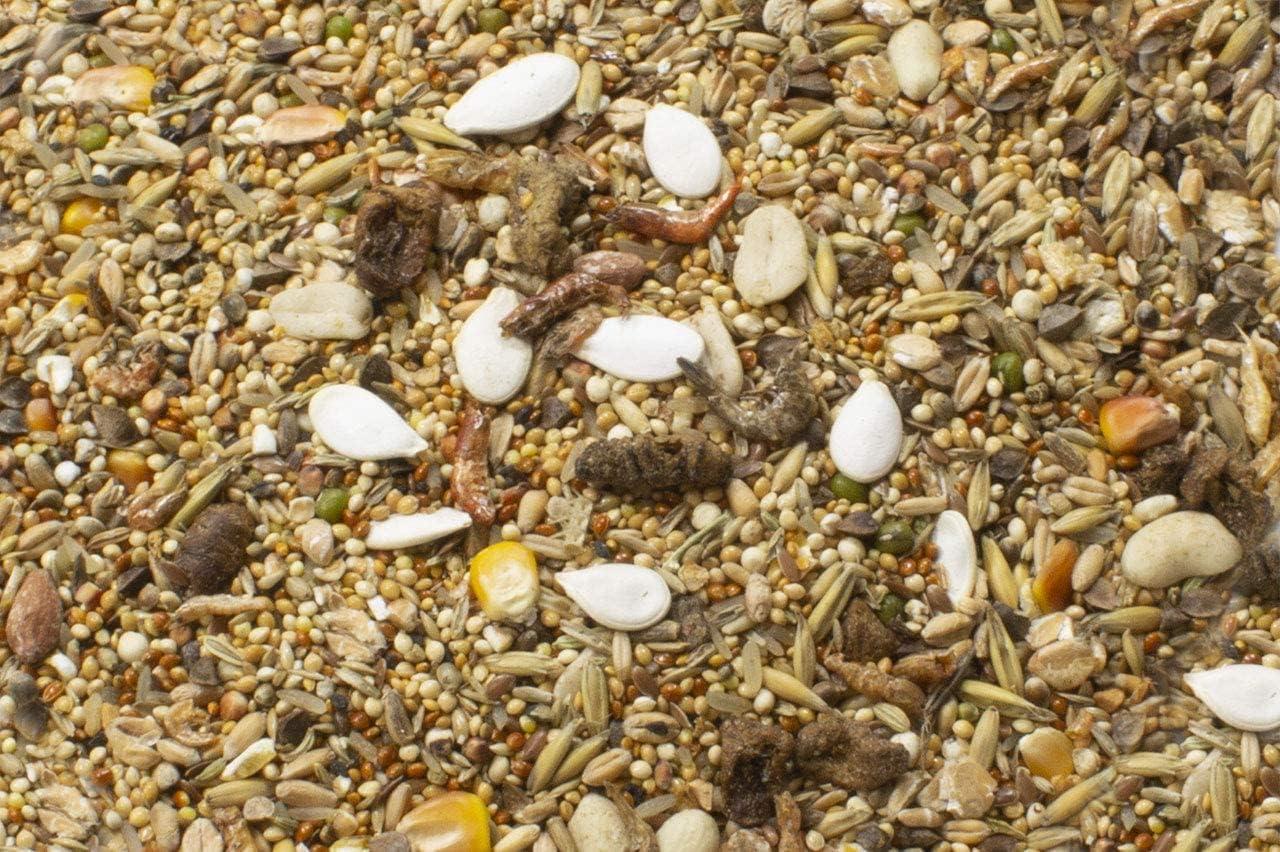 JR FARM Dwarf Hamster Feast 600g - Chicken Beef Seafood & Rice ...