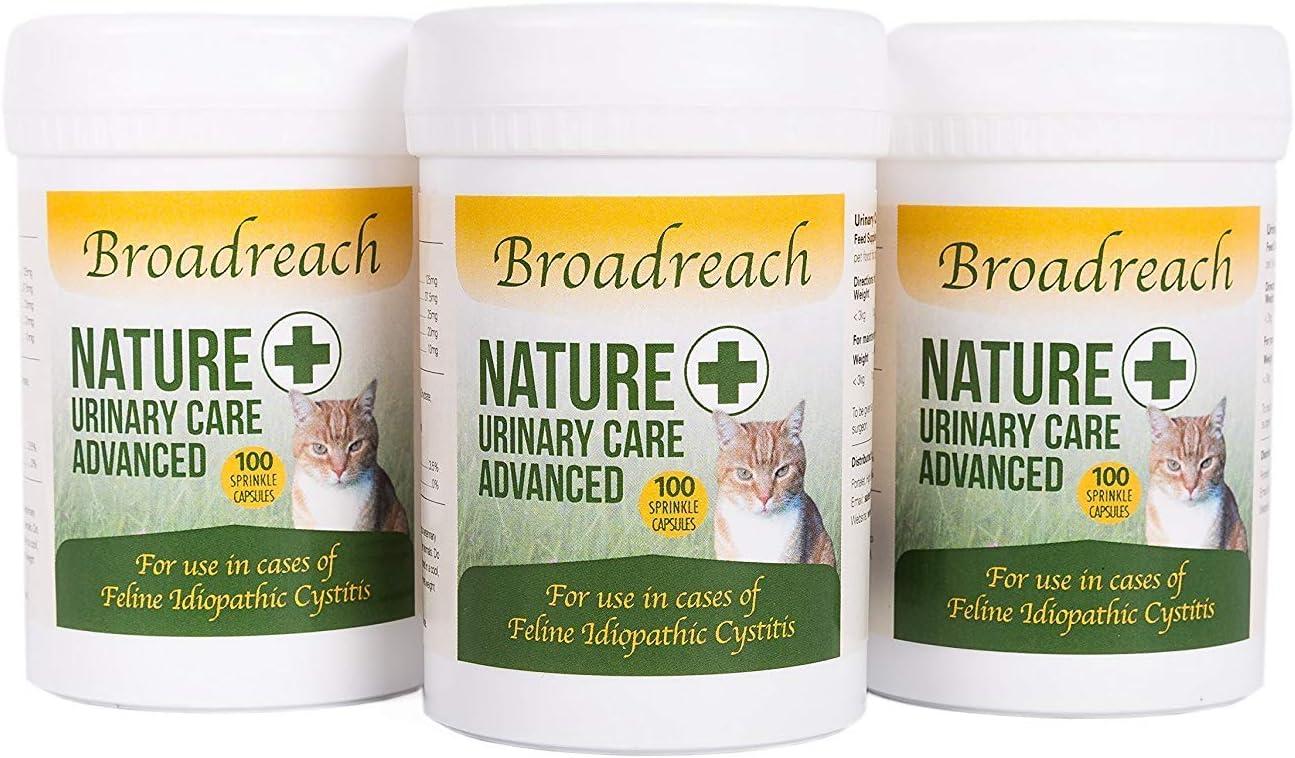 URINARY CYSTITIS AND CALMING Supplement for Cats - AWARD WINNING ...