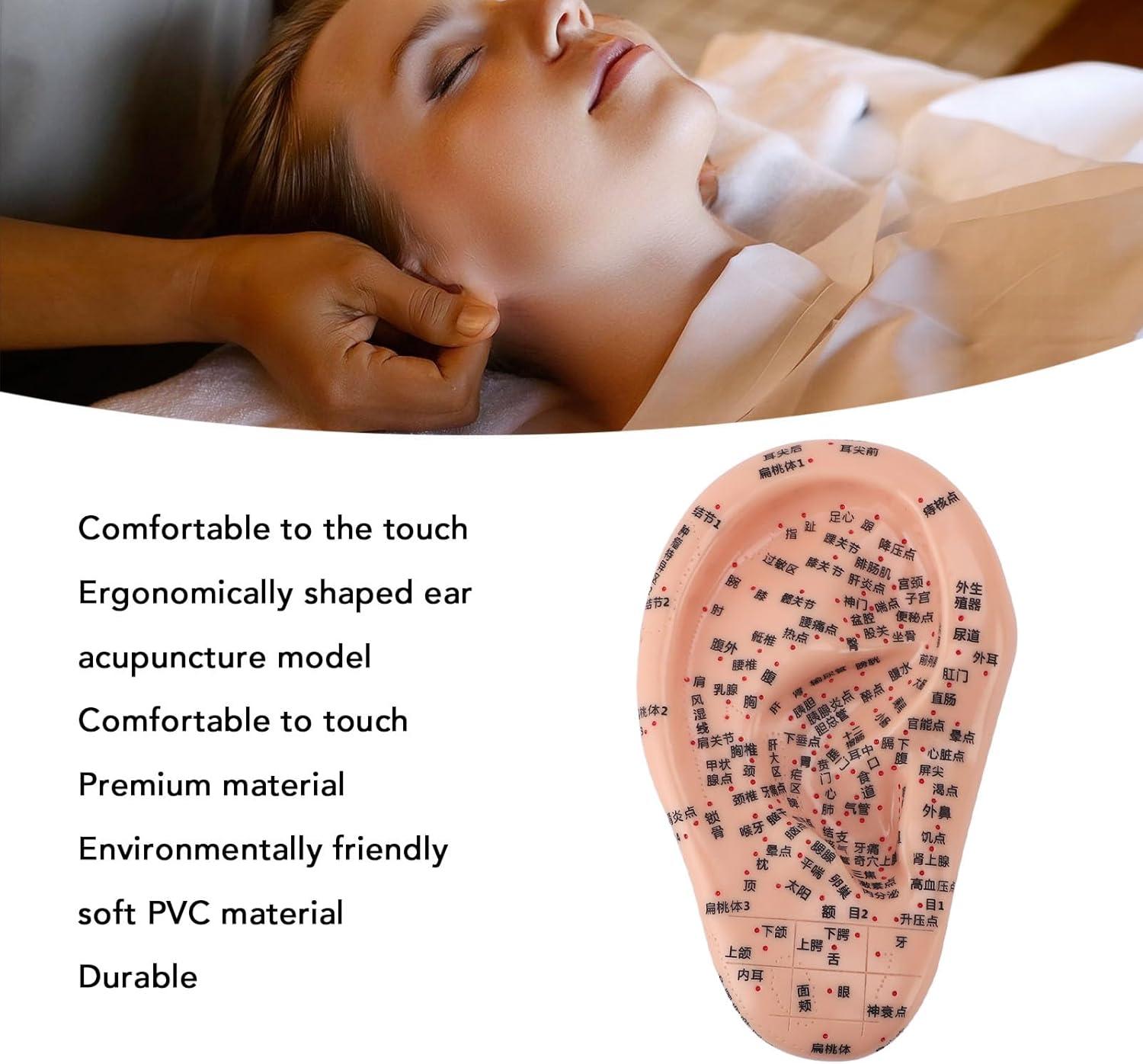 Professional Ear Acupuncture Model - 7.5 Flexible Human Ear for Lessons ...