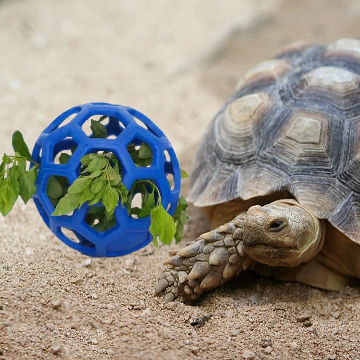 Tortoise Treat Ball Feeding Vegetable - Aquatic Turtle Toy & Feeder for ...