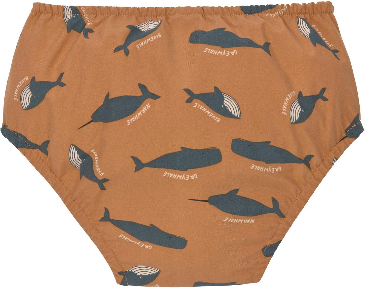 Buy L SSIG Baby Swim Diaper & Trunks - Pebbles 62/68 (3-6 Months) Brown ...