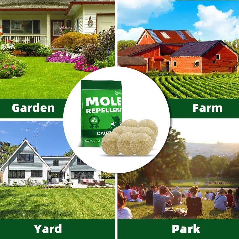 Wofimeha Mole Repellent Vole Repellent Outdoor Natural Gopher Repellent ...