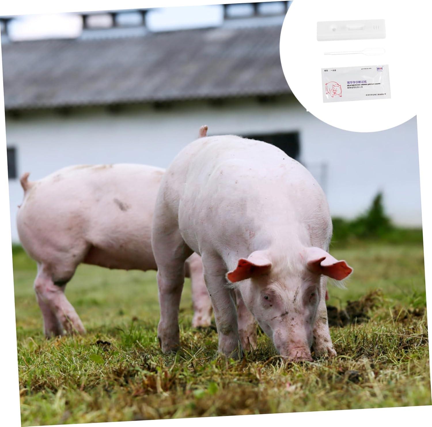 Minkissy Cow & Farm Animal Pregnancy Test Strips | Accurate Pig & Sow ...