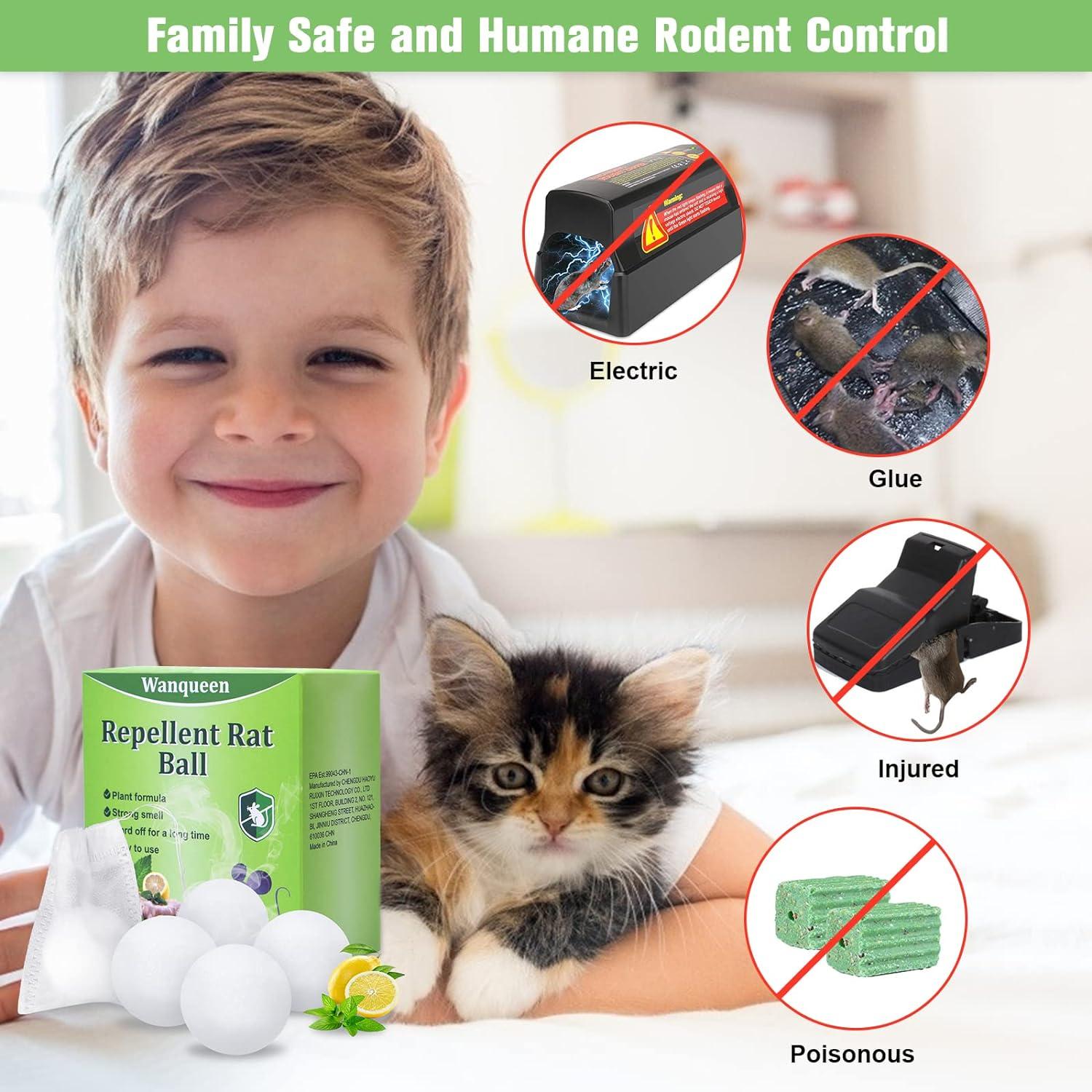 Wanqueen 4 Pack Natural Mouse Repellent Balls - Peppermint Oil Rodent ...