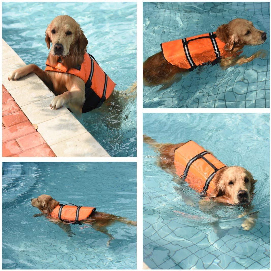 Doglay XX-Large Orange Dog Life Jacket with Reflective Stripes ...