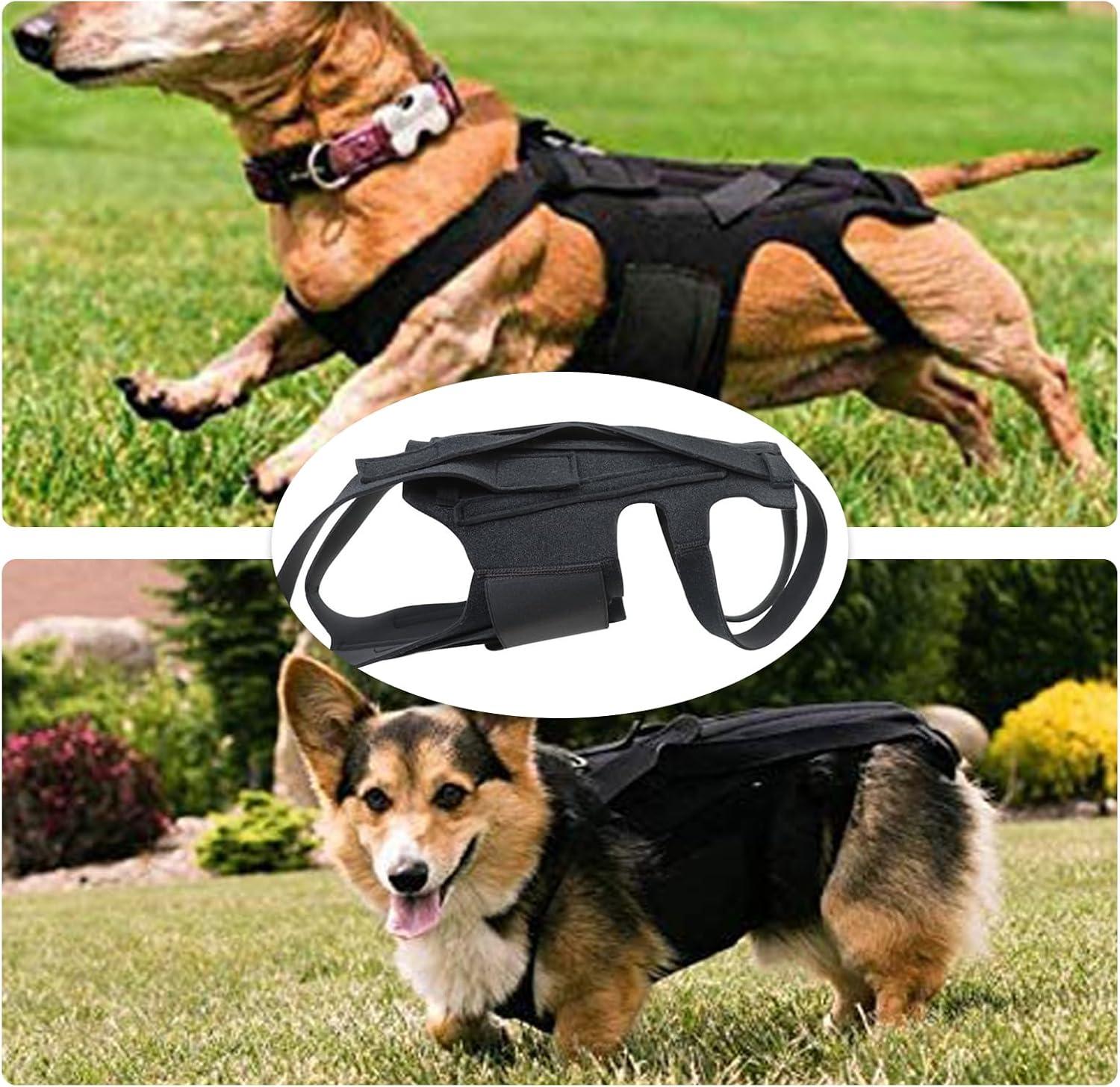 Dog Back Bandage for Arthritis IVDD & Surgical Recovery | Support for ...