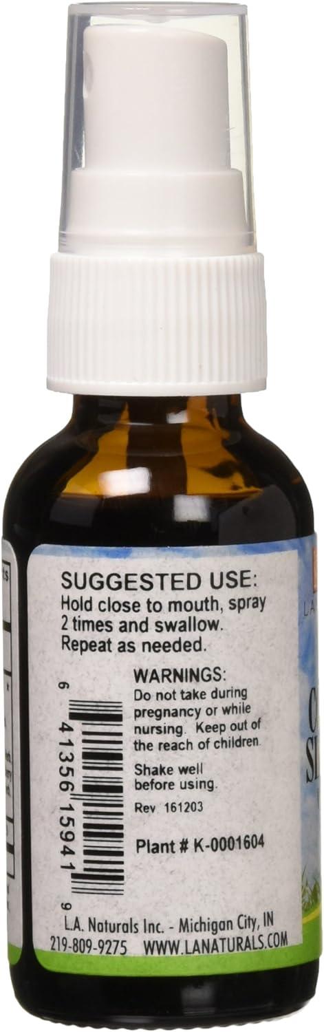 L A NATURALS Congestion & Sinus Blaster Spray 1.0 fluid ounce 30 ml