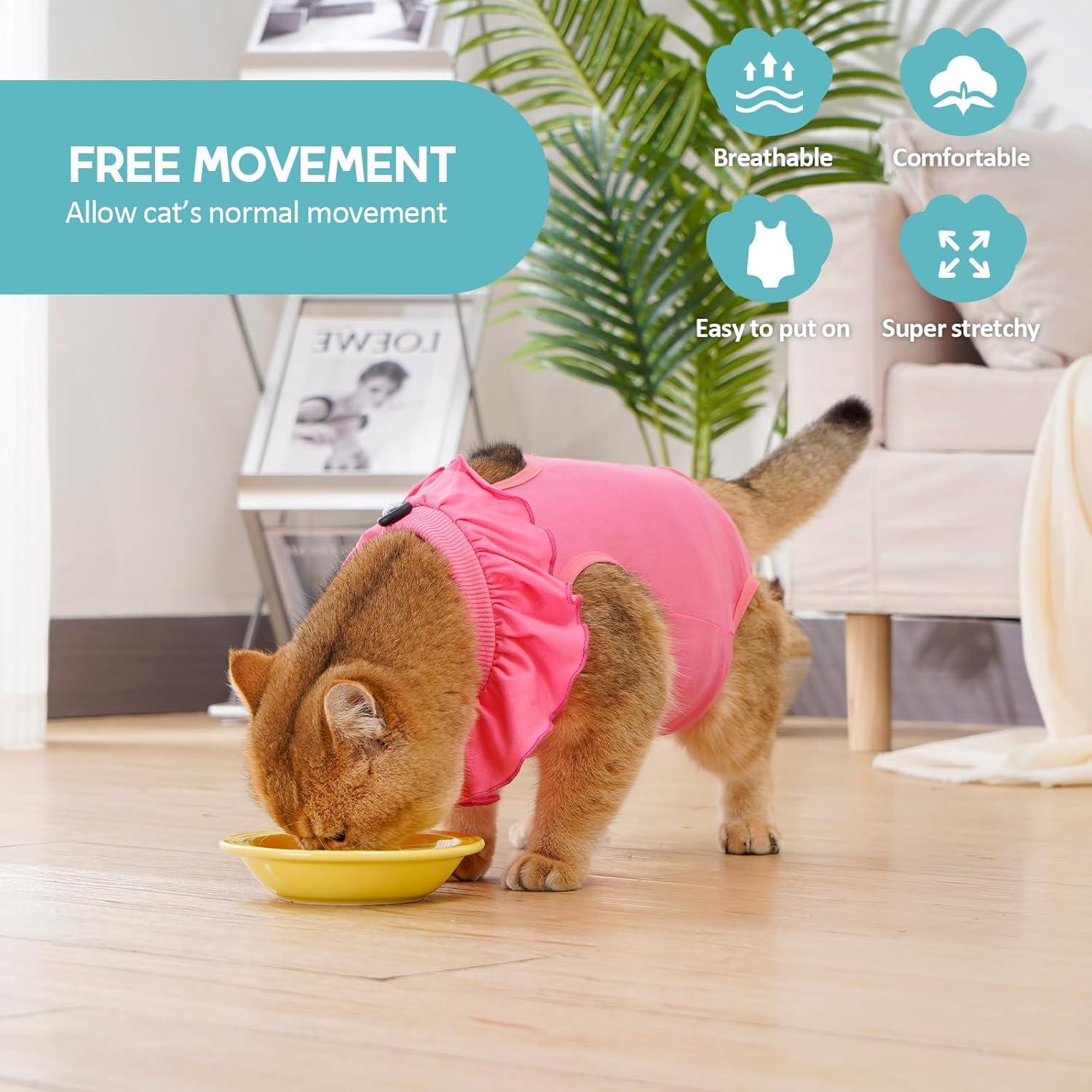 Avont Katzenbody for Cats | Recovery Suit for Spay Castration & Wound ...