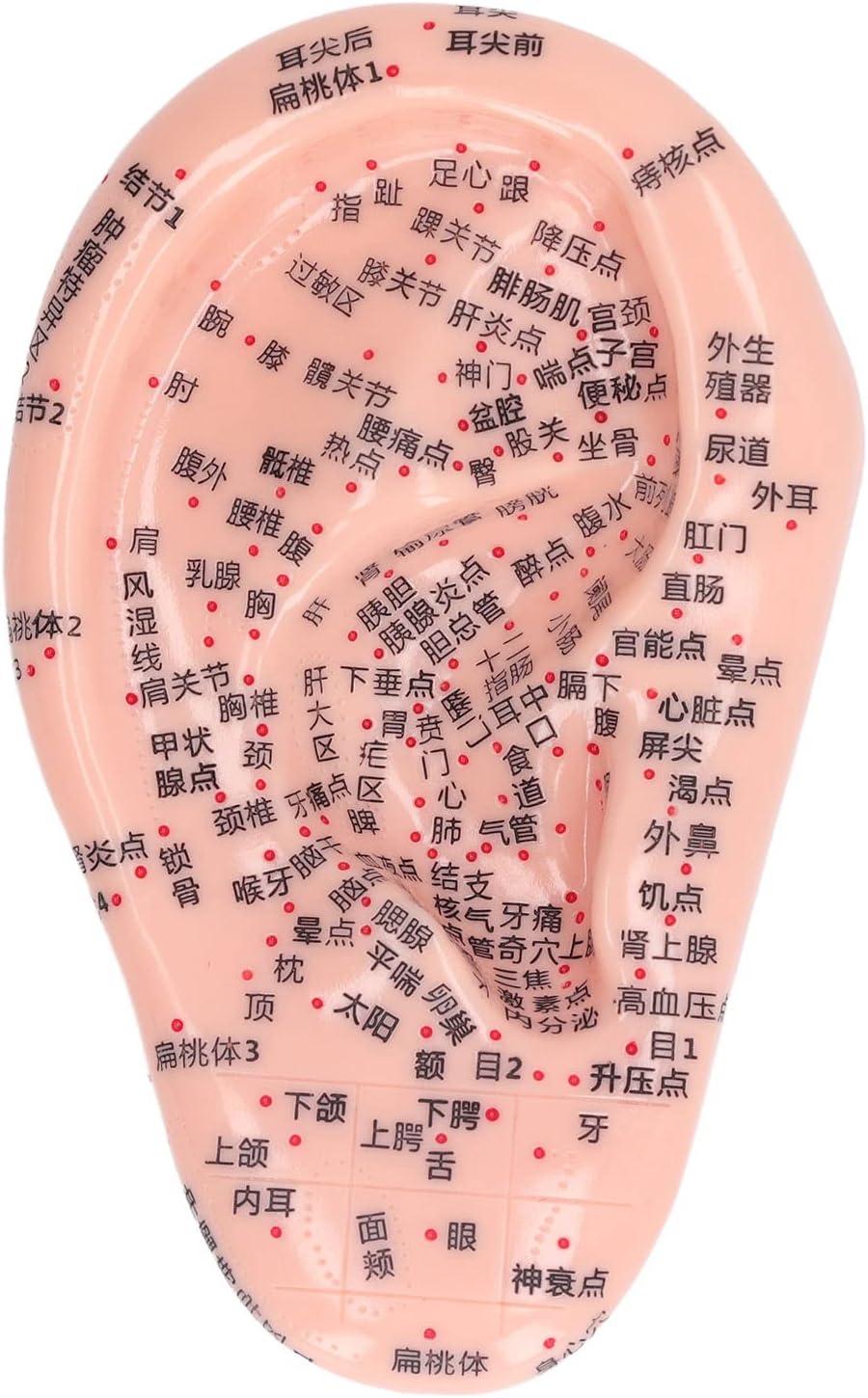 Silicone Ear Acupuncture Model for Laboratory Study | International ...