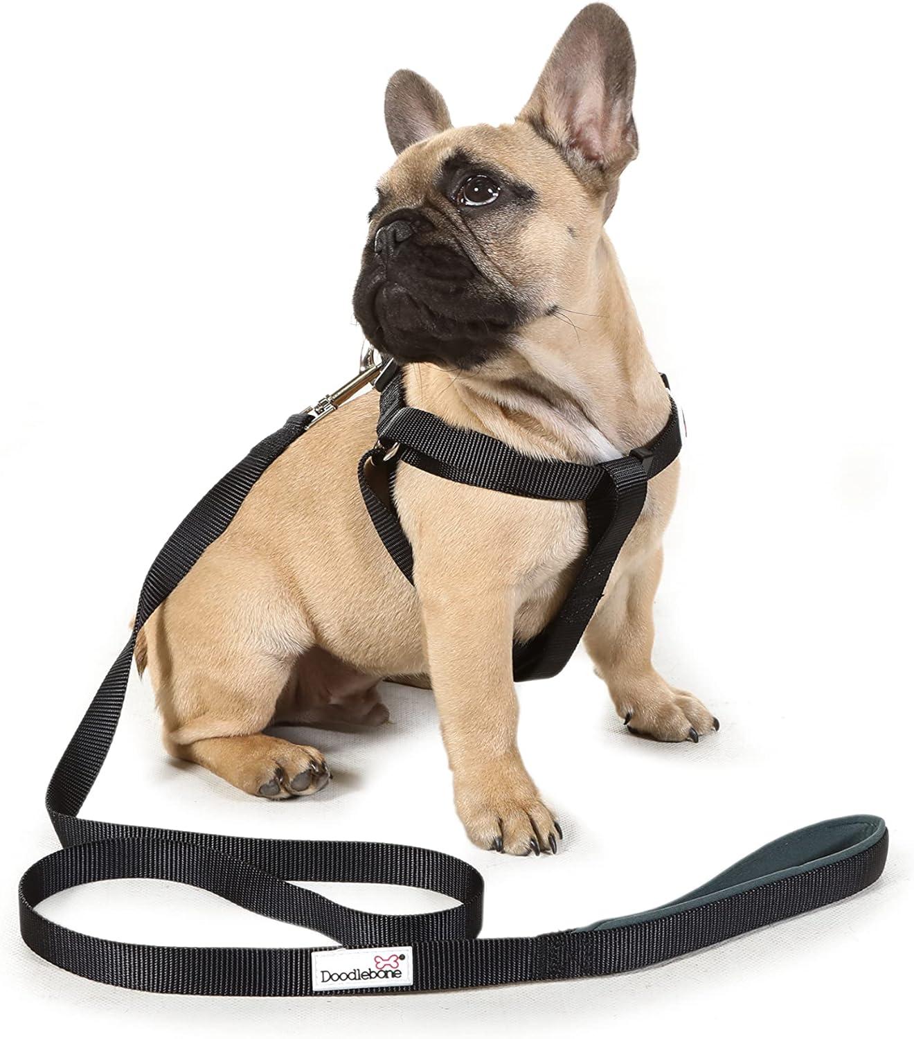 doodlebone harnesses